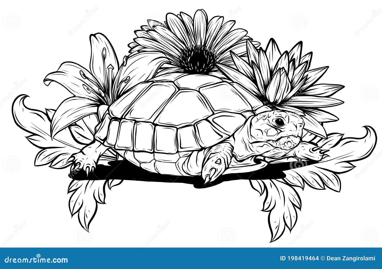 Land Turtle Illustration Cartoon Vector | CartoonDealer.com #2580709