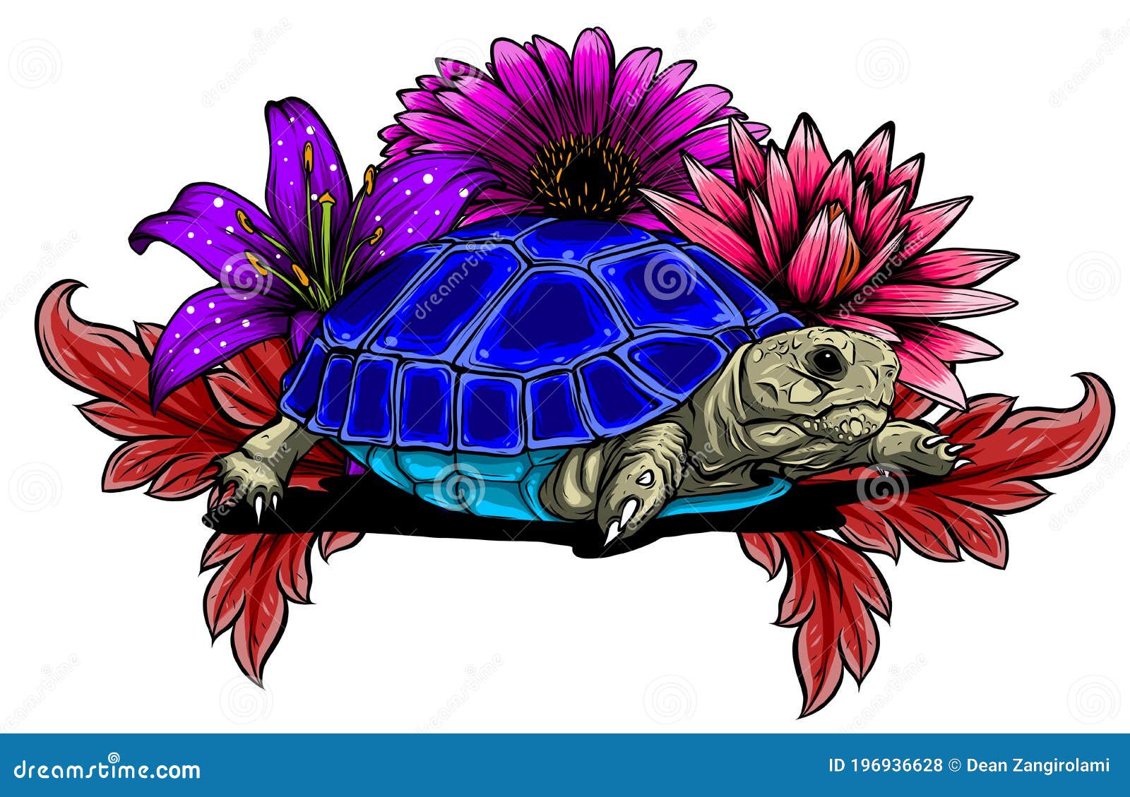 Land Turtle Illustration Cartoon Vector | CartoonDealer.com #2580709