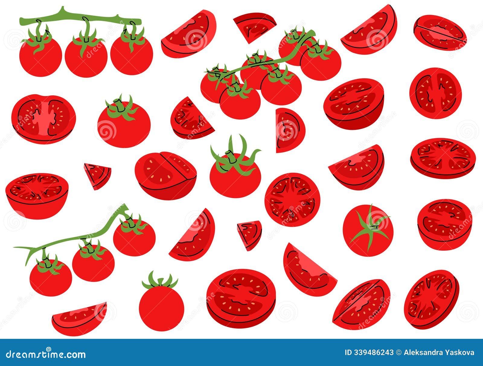 Detailed Vector Illustration of Red Tomato Showing Whole, Sliced, and ...