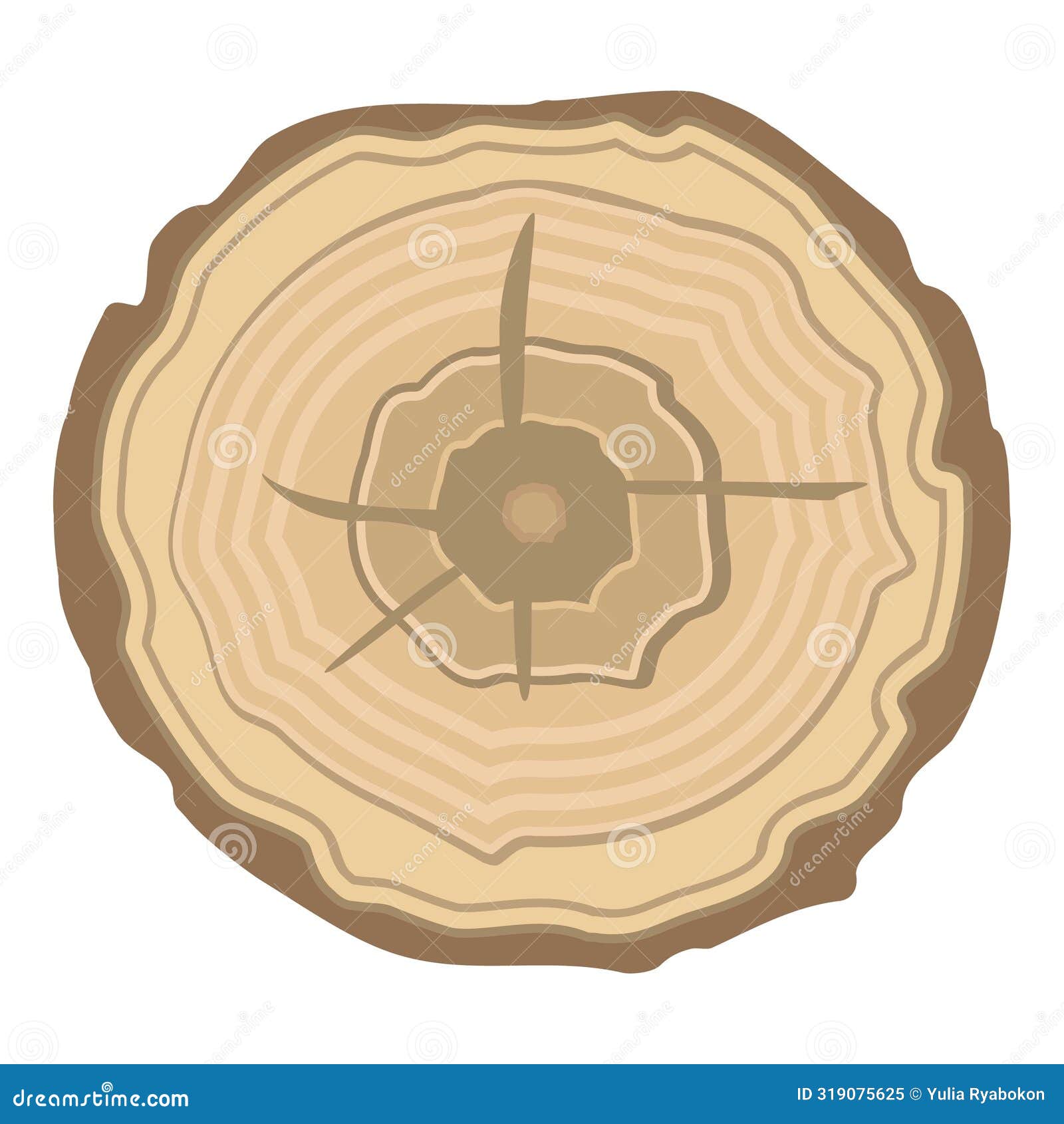 Crosssection of Tree Trunk Illustration Stock Vector - Illustration of ...