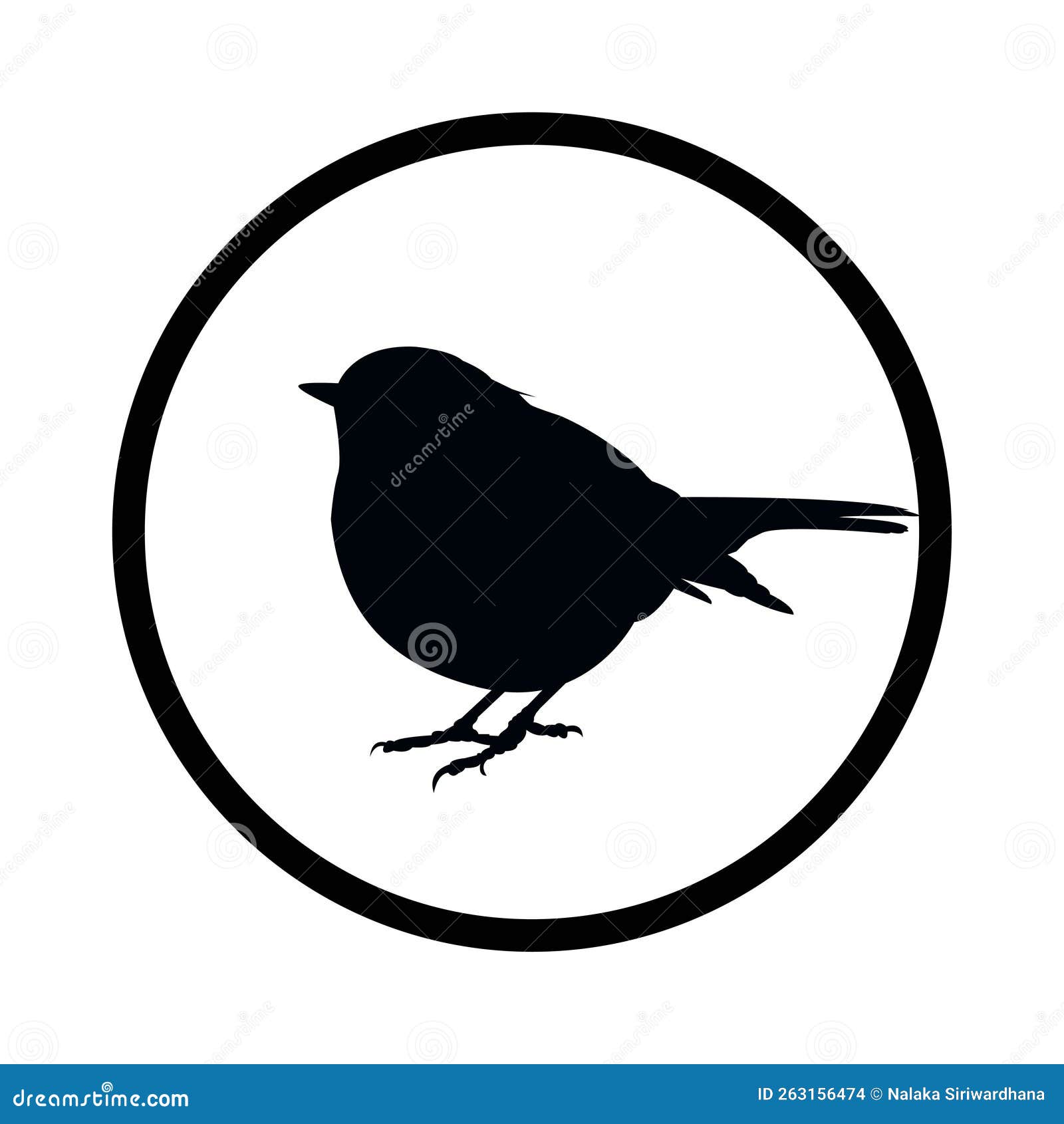 Detailed Vectoral Bird in Round. Stock Illustration - Illustration of ...