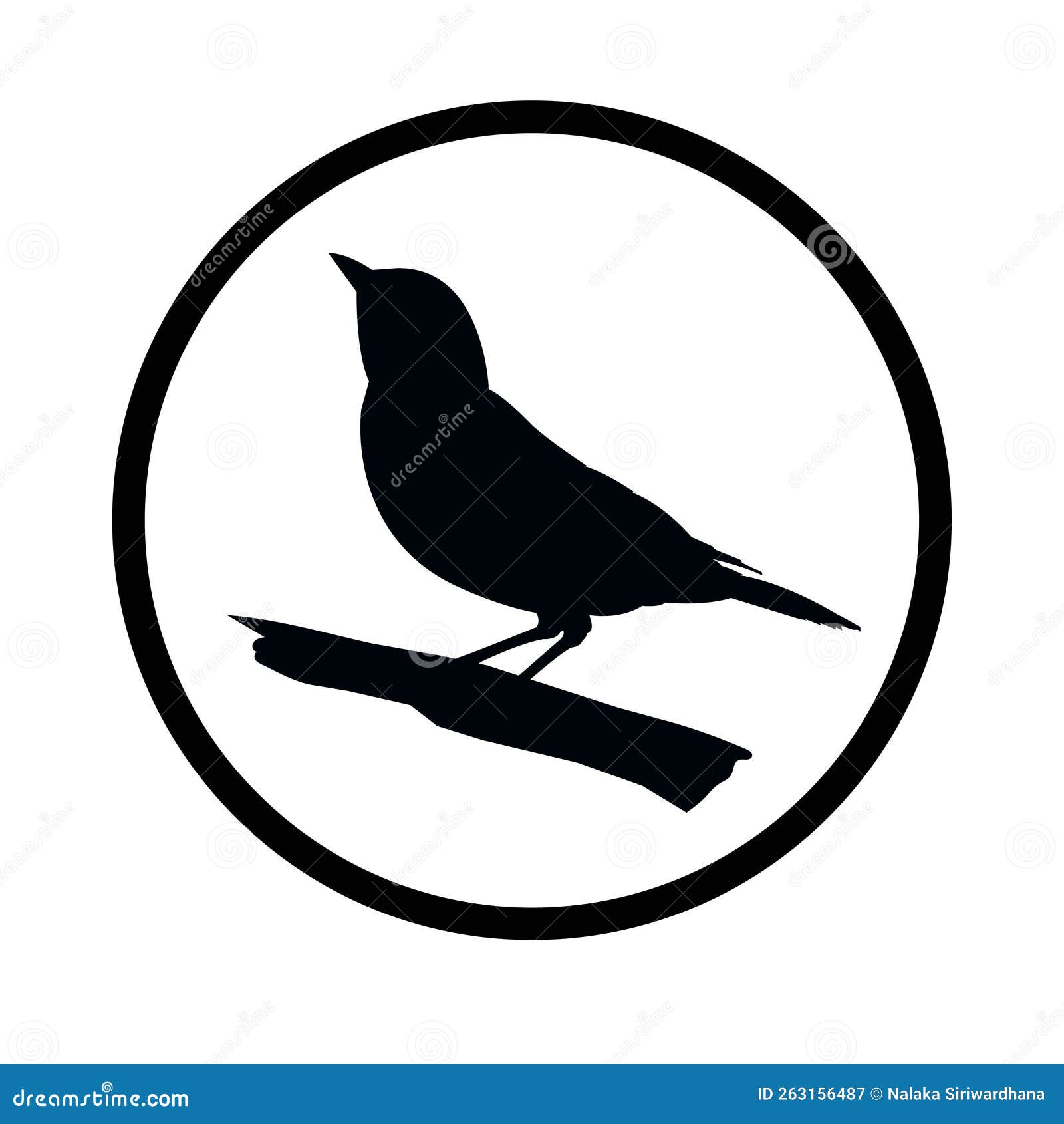Detailed Vectoral Bird in Round. Stock Illustration - Illustration of ...