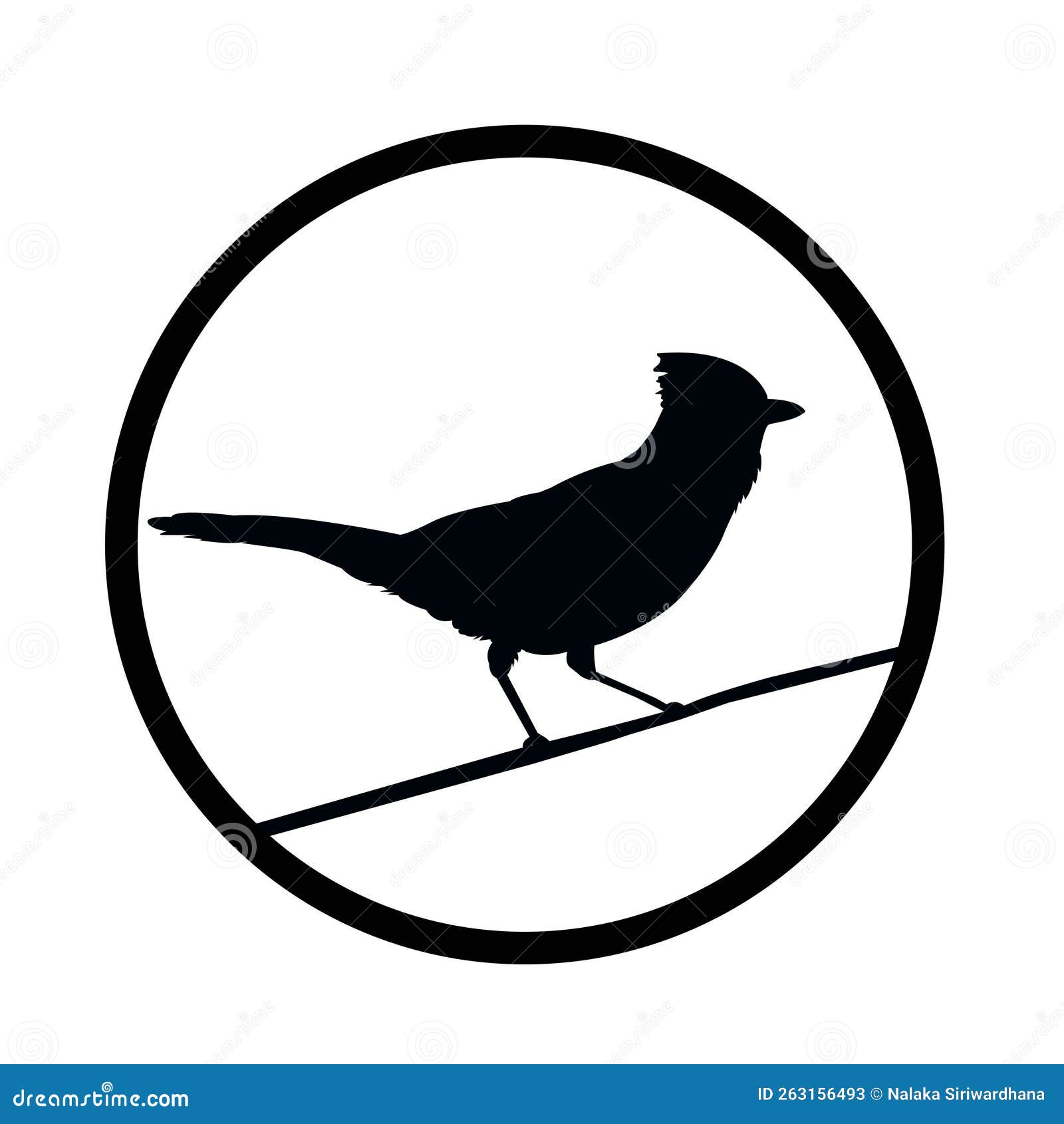 Detailed Vectoral Bird in Round. Stock Illustration - Illustration of ...