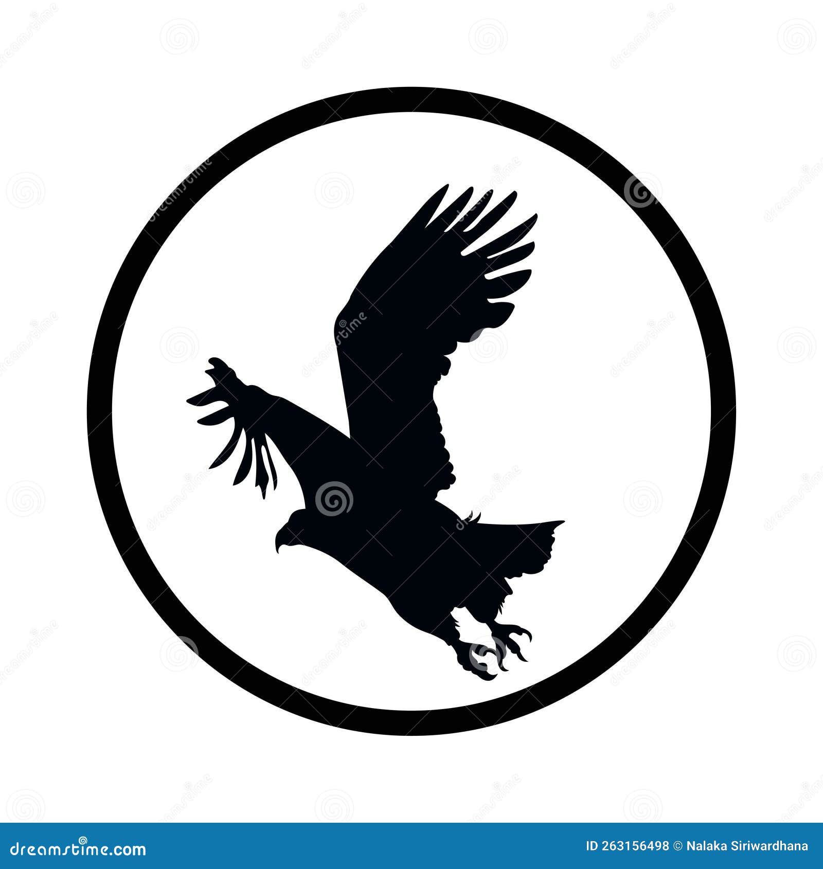 Detailed Vectoral Bird in Round. Stock Illustration - Illustration of ...