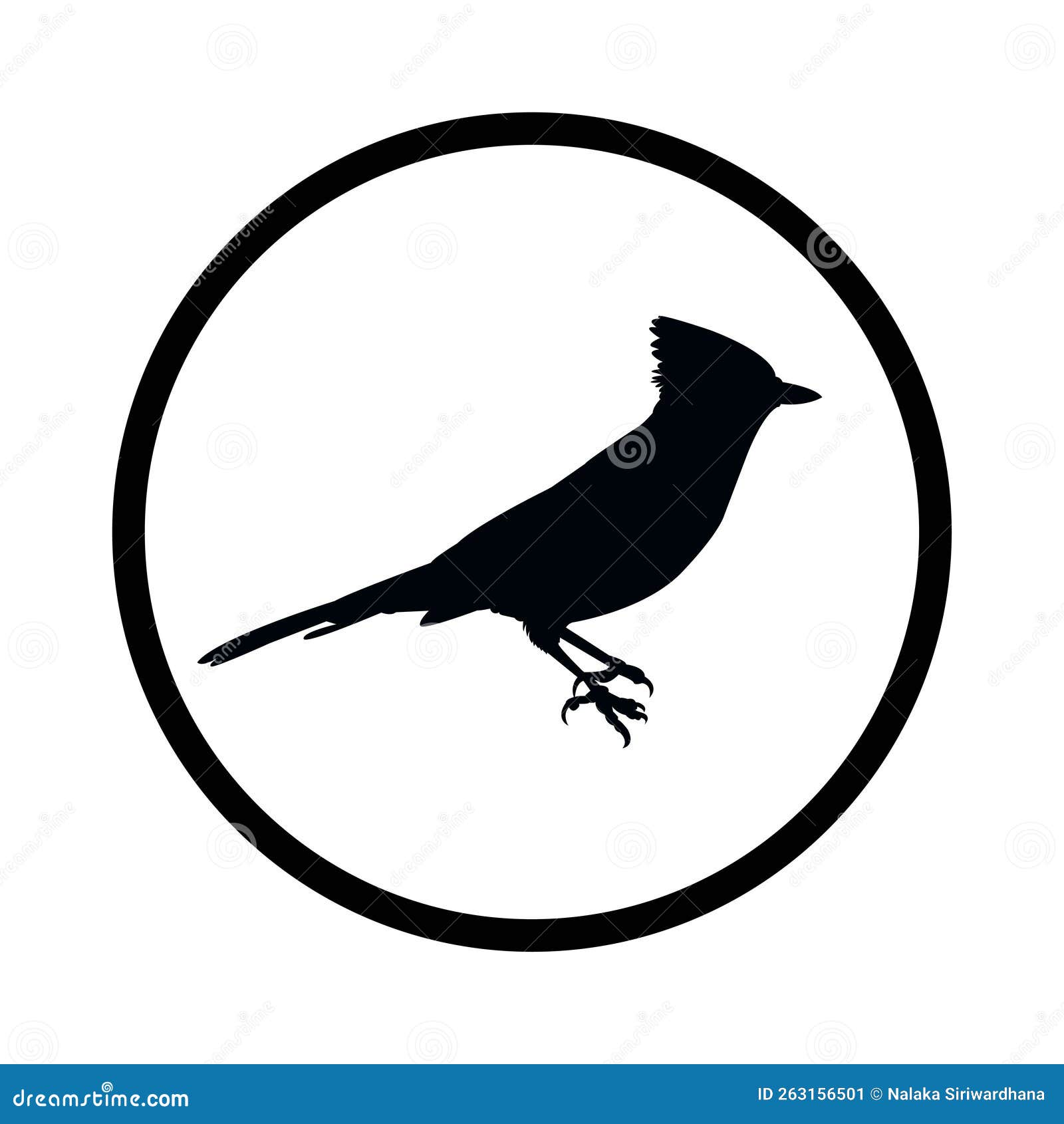 Detailed Vectoral Bird in Round. Stock Illustration - Illustration of ...
