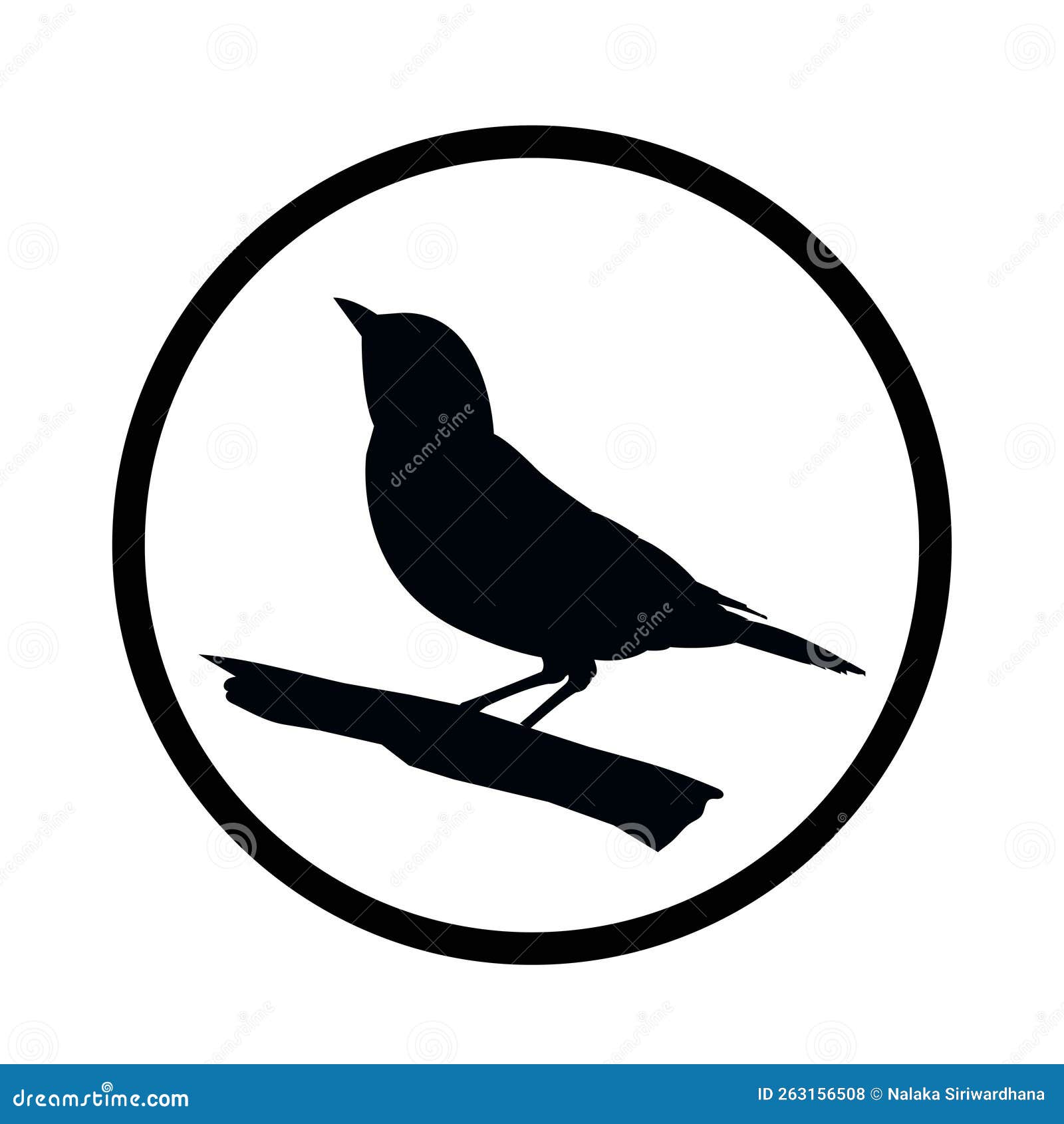 Detailed Vectoral Bird in Round. Stock Illustration - Illustration of ...