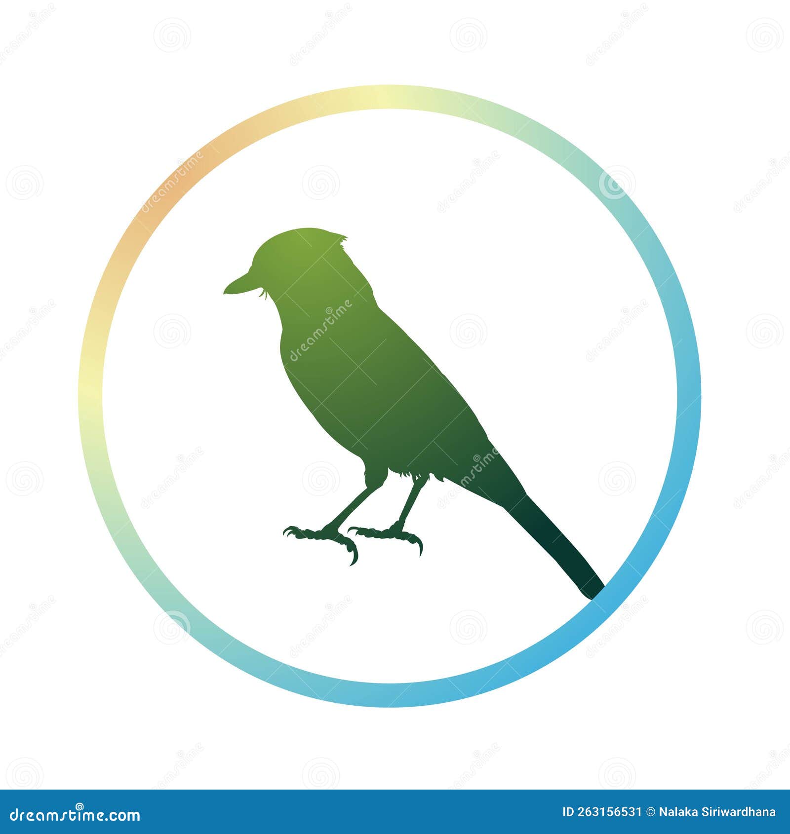 Detailed Vectoral Bird in Round. Stock Illustration - Illustration of ...