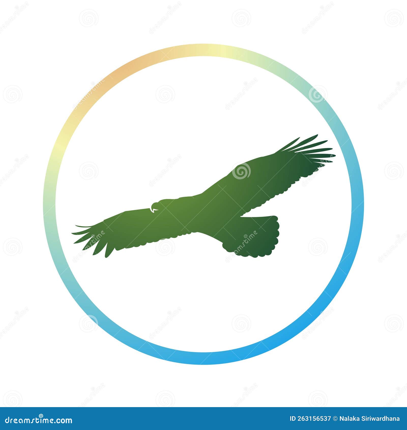 Detailed Vectoral Bird in Round. Stock Illustration - Illustration of ...