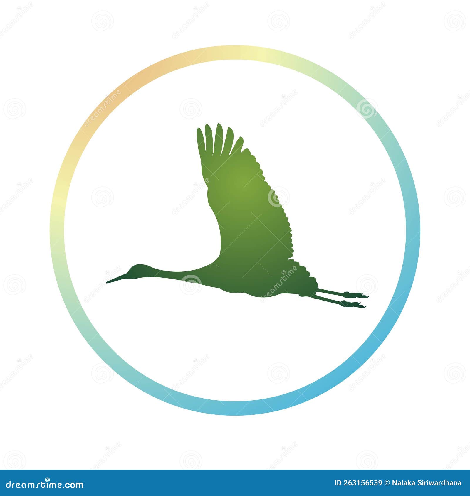 Detailed Vectoral Bird in Round. Stock Illustration - Illustration of ...