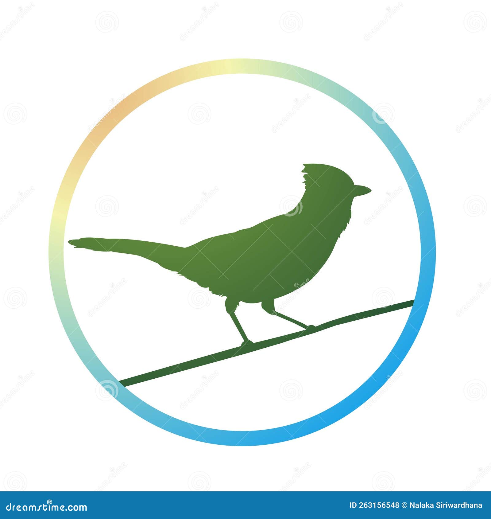 Detailed Vectoral Bird in Round. Stock Illustration - Illustration of ...