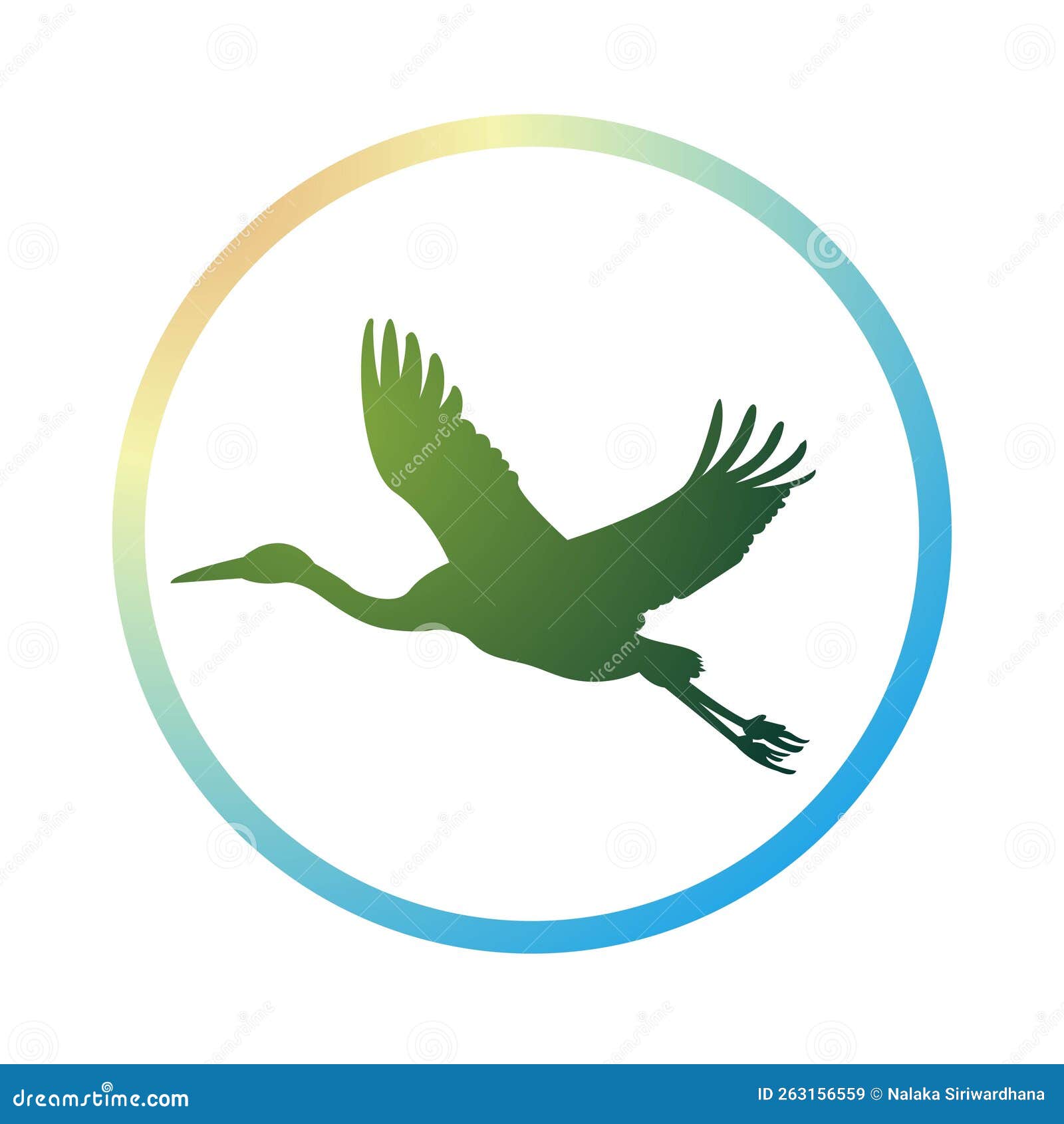 Detailed Vectoral Bird in Round. Stock Illustration - Illustration of ...