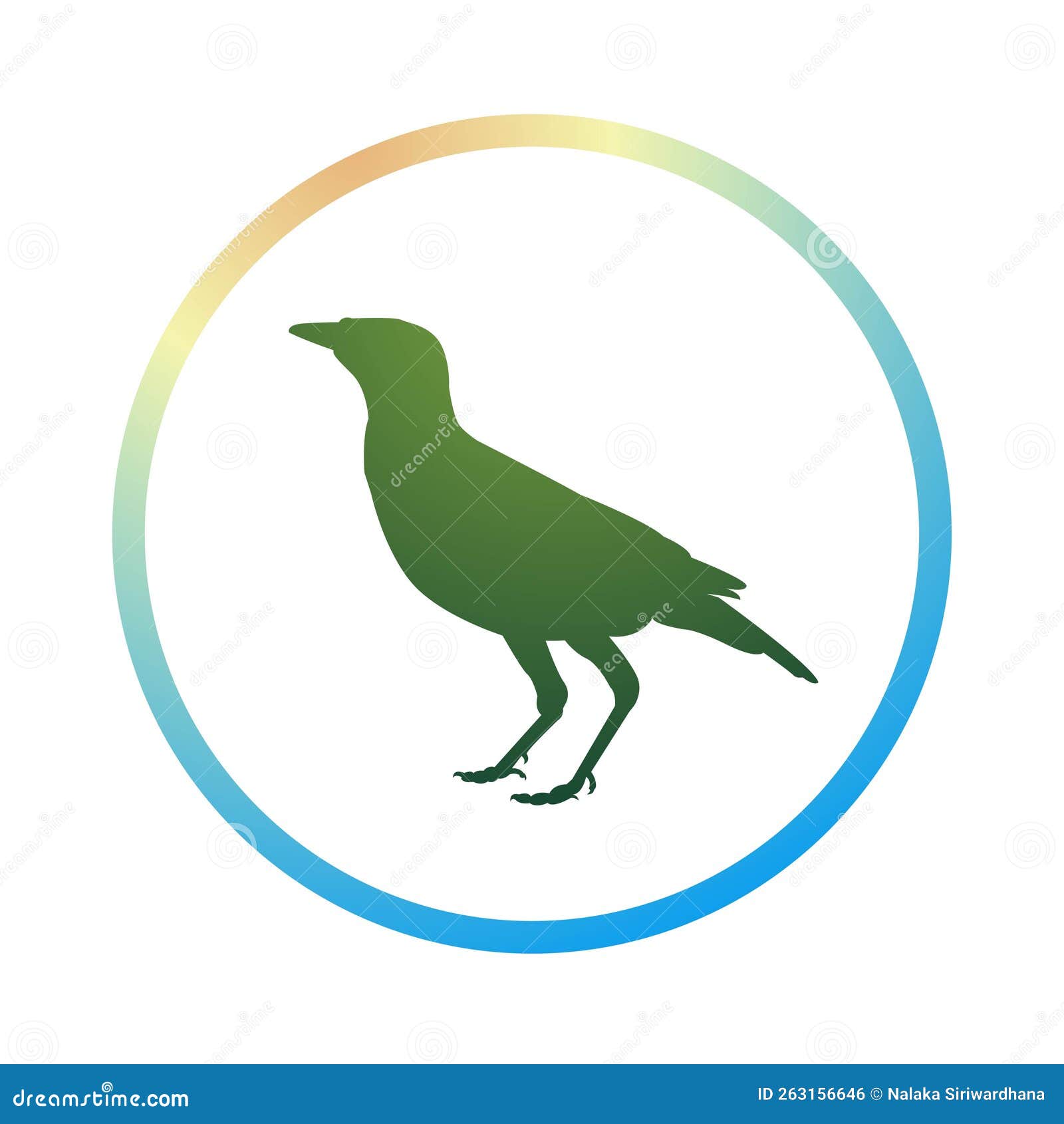 Detailed Vectoral Bird in Round. Stock Illustration - Illustration of ...