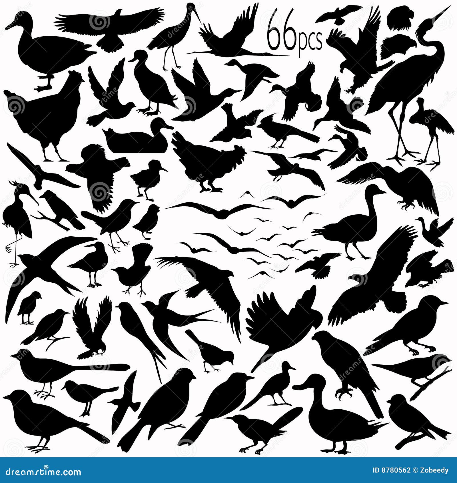 Detailed Vectoral Bird Silhouettes Stock Vector - Illustration of ...