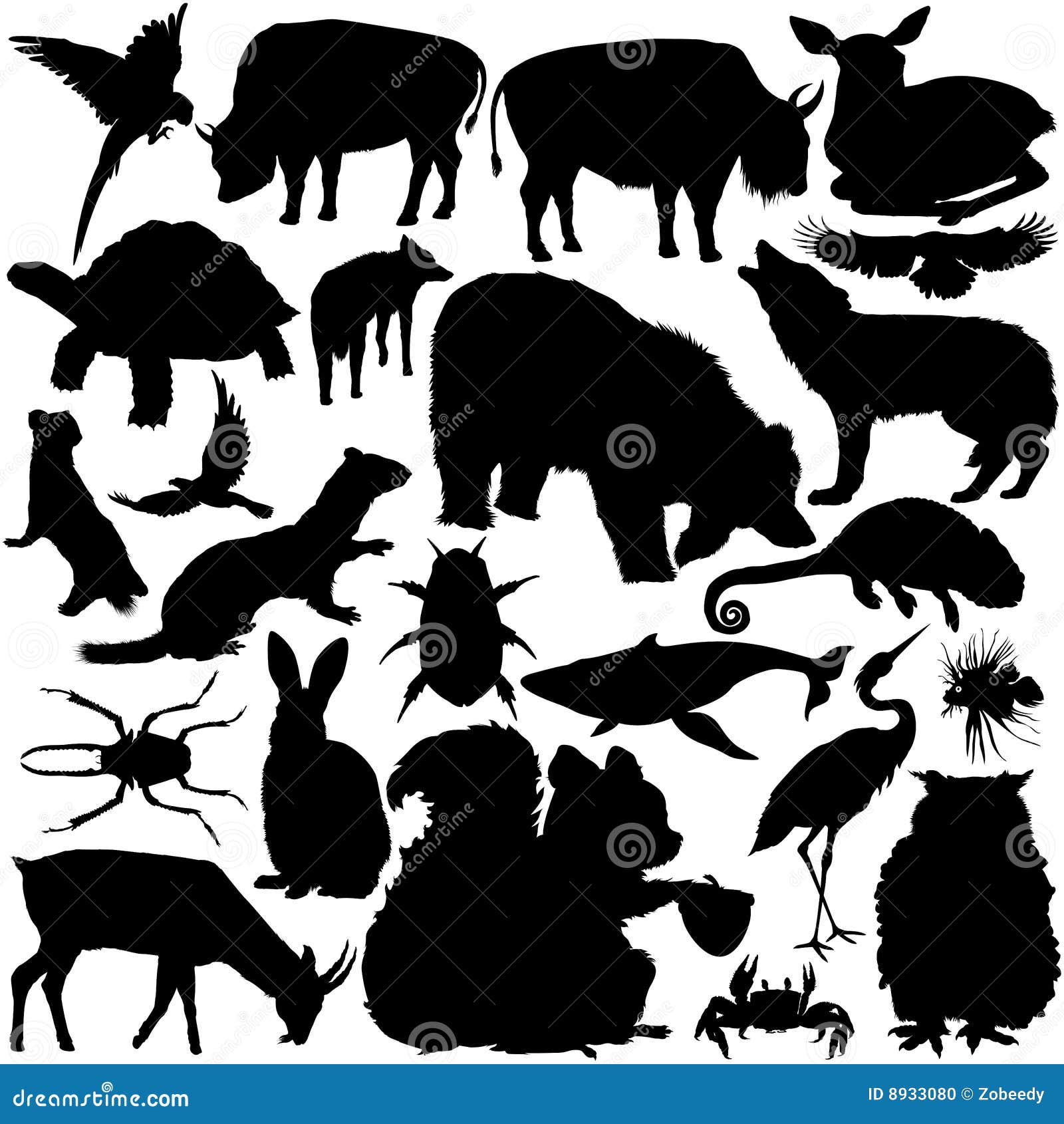 Detailed Vectoral Wild Animal Silhouettes Stock Vector - Illustration ...