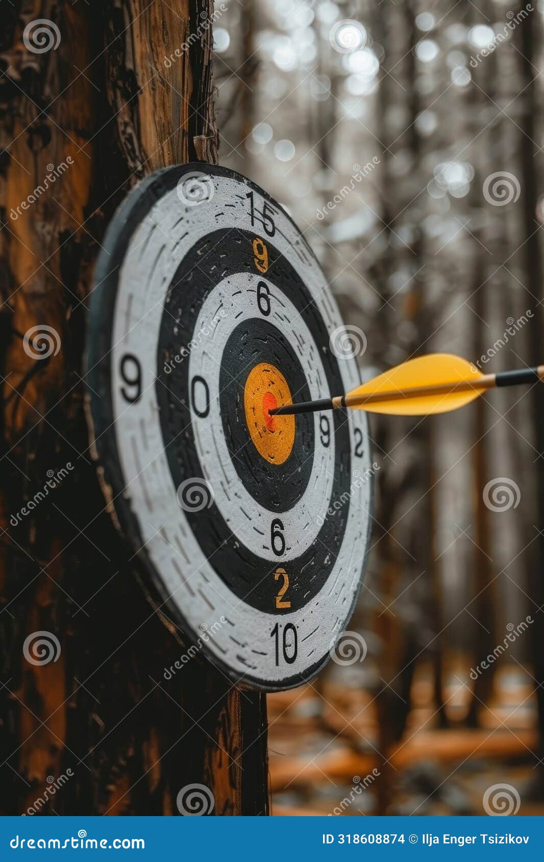 Hitting Bullseye On Computer Laptop Royalty-Free Stock Image ...