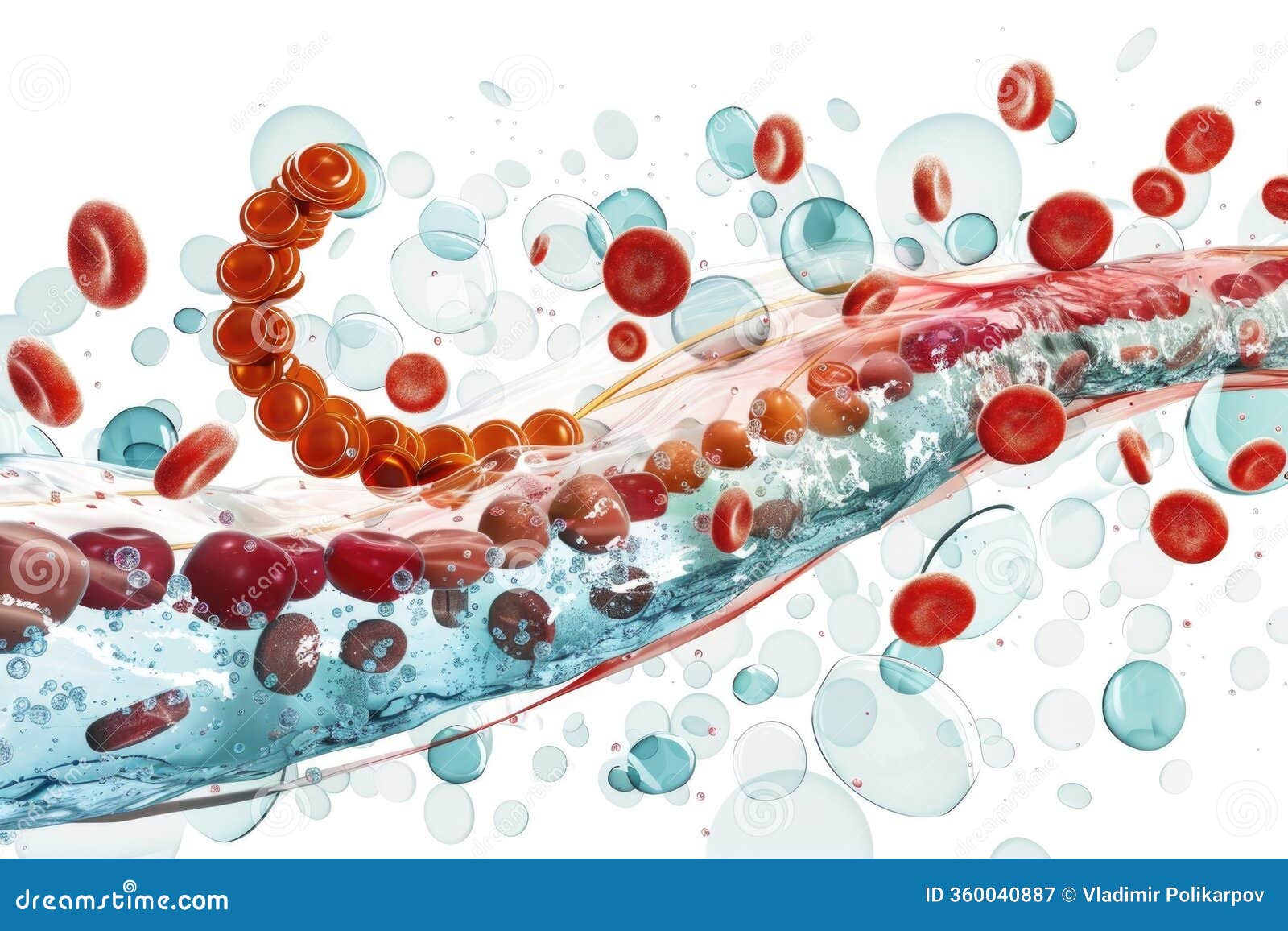 Blood Clot Formation, Showing Platelets And Red Blood Cells Clumping ...