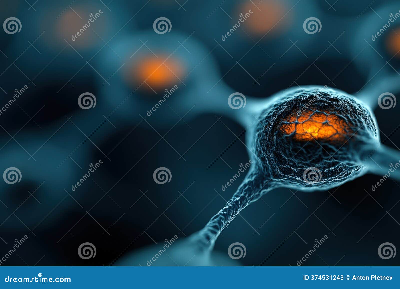 Synapse Between Two Neurons Neural Synapse Receptors Neuron Link Neural ...