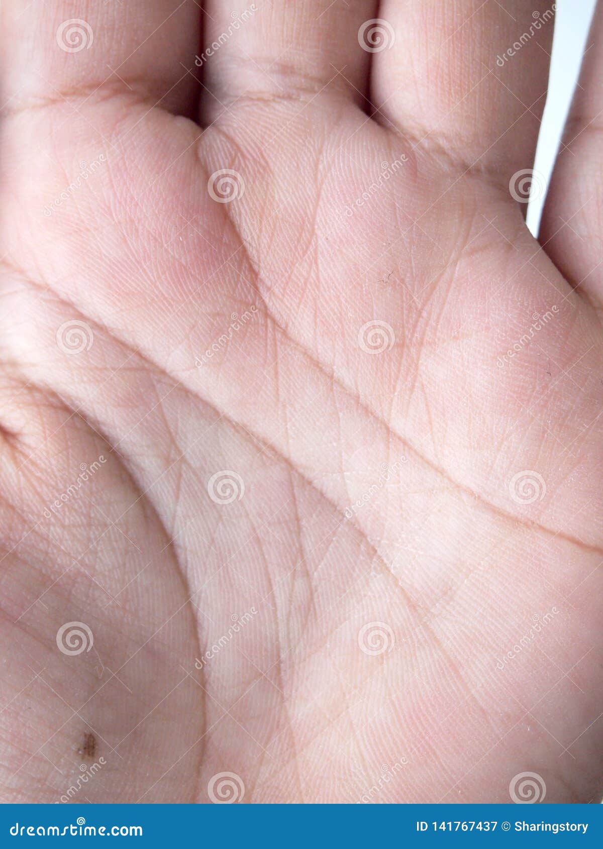 Detailed view of hand palm stock image. Image of palm - 141767437