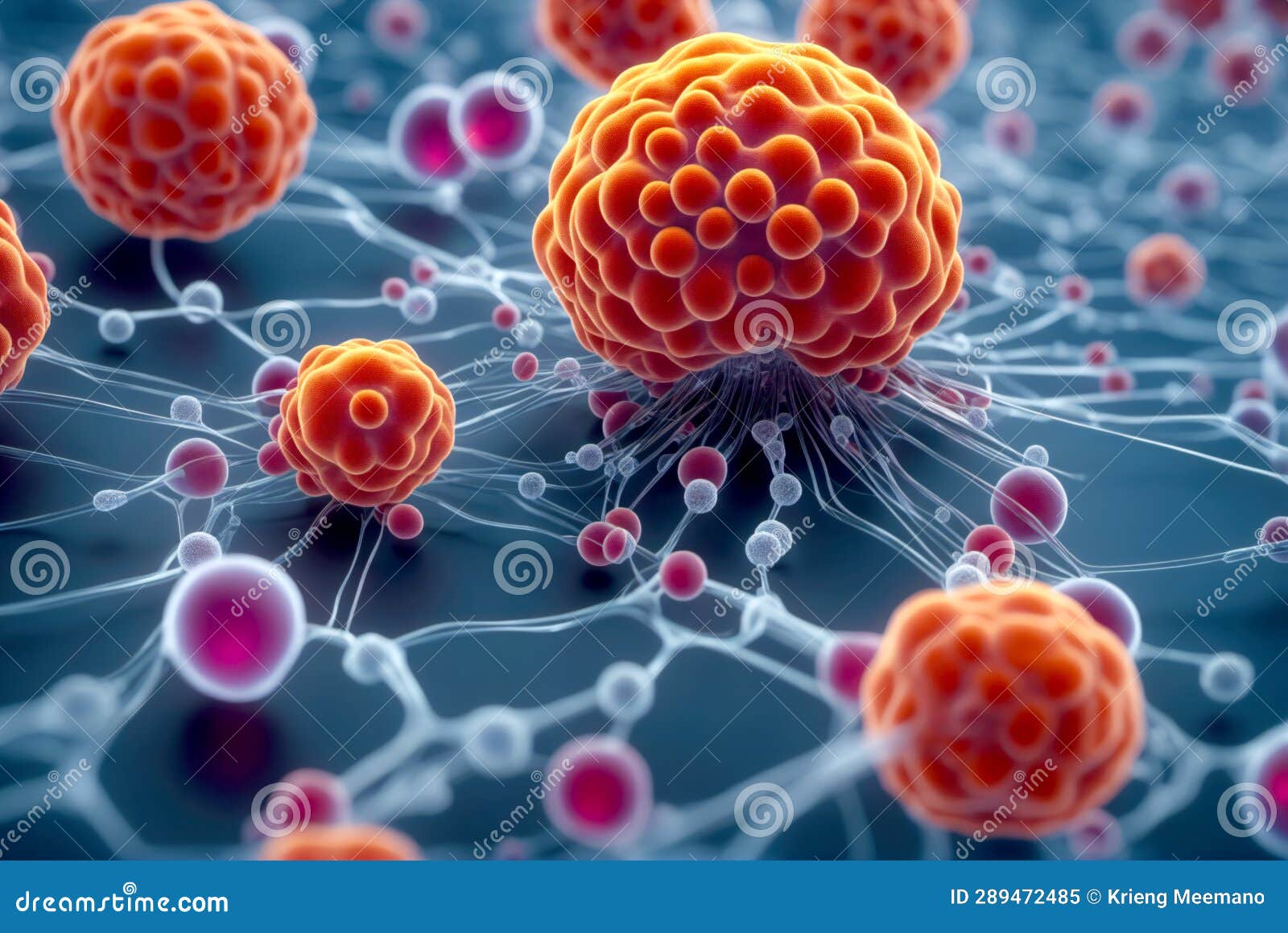 Detailed View of Nanoscale Cell: Showing the Intricate Structures that ...