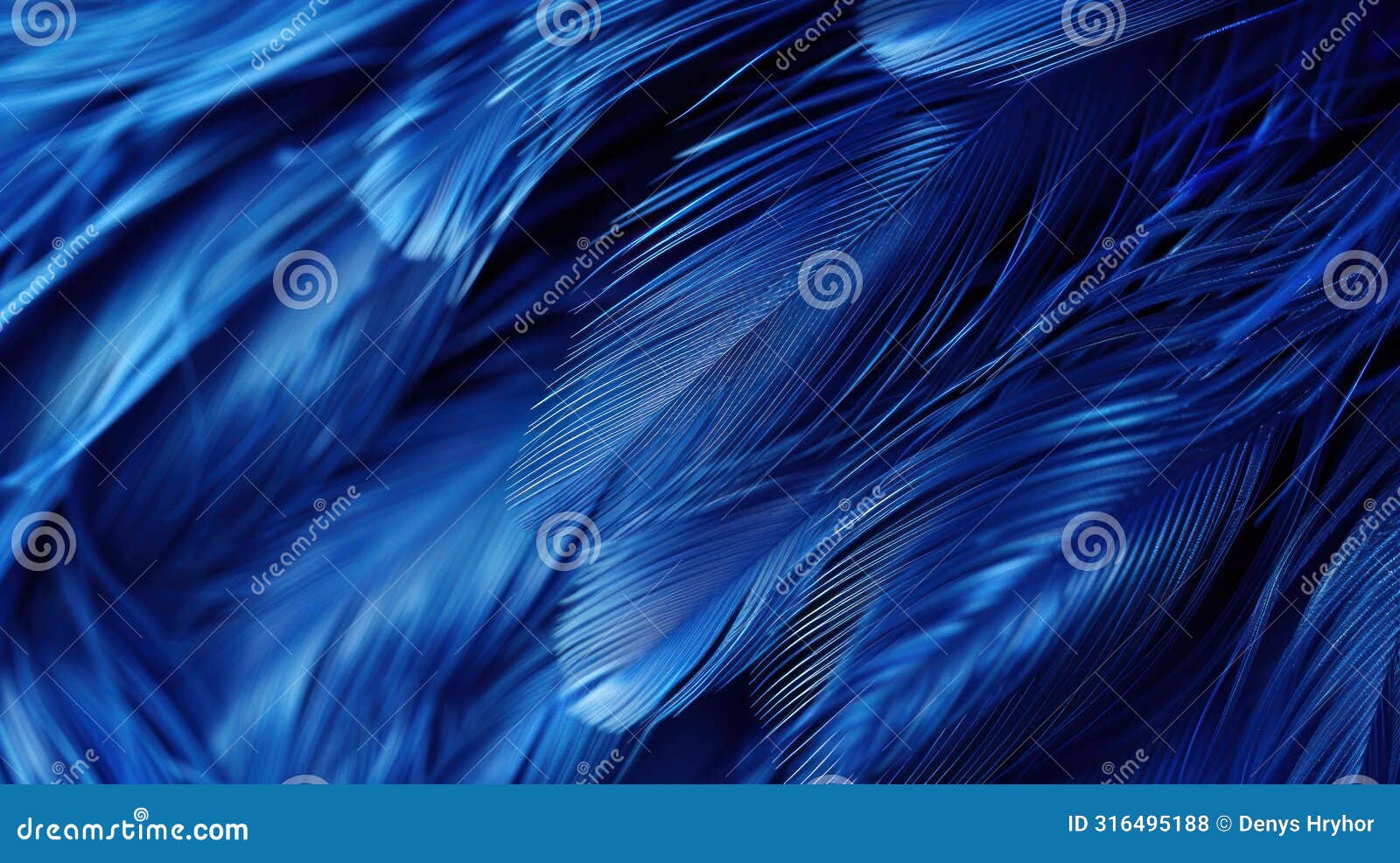 Detailed View of Navy Blue Bird Feathers Creating a Textured Background ...