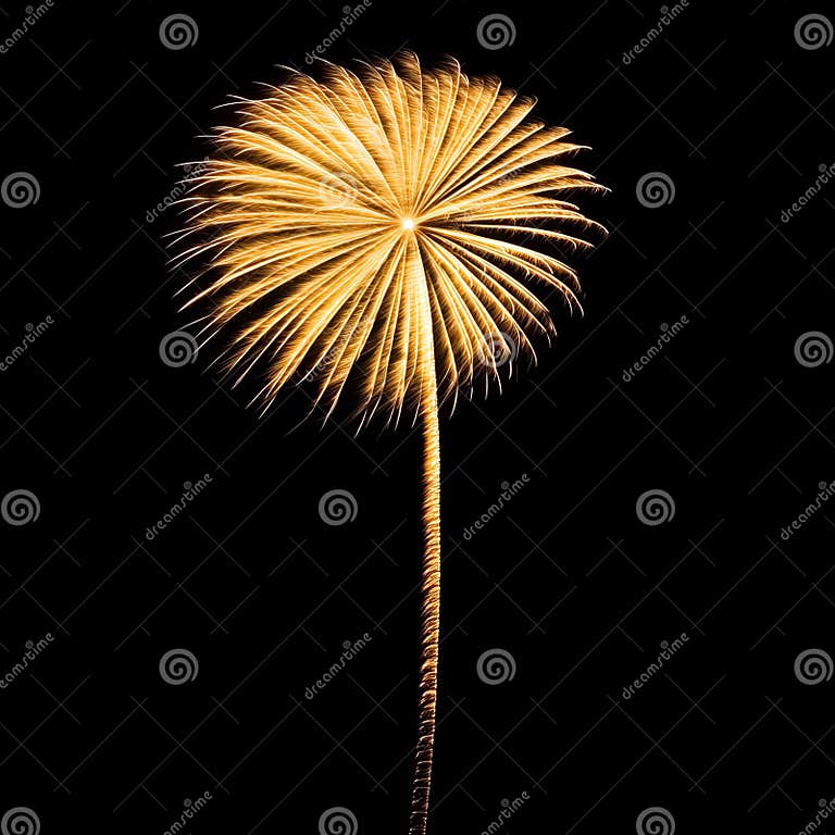 A Detailed View of One Firework Set Against a Dark Backdrop Stock Photo ...