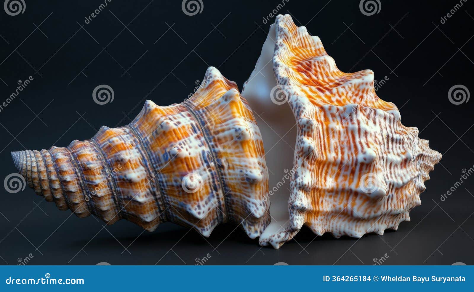 Spiky Orange Sun, Bright Energy And Solar Power Png Transparent Image ...