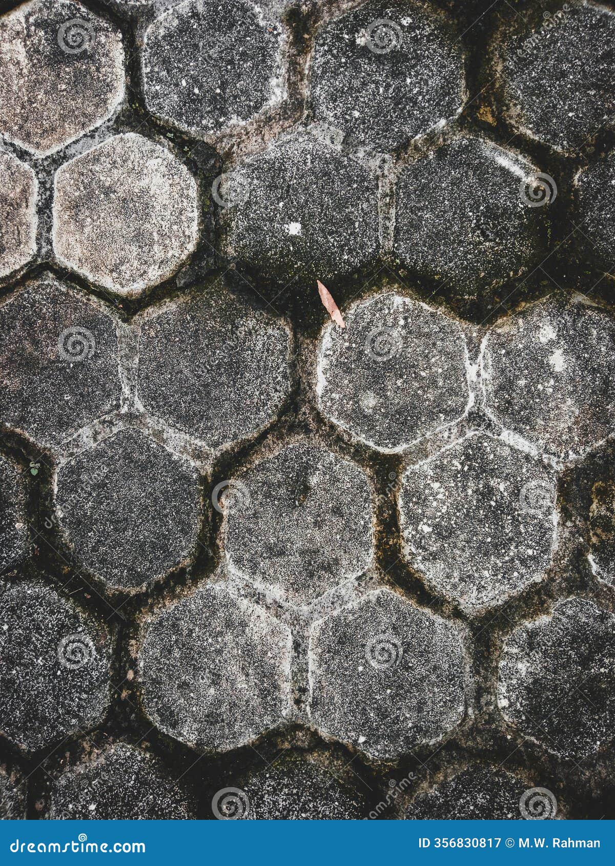 Close-Up of Weathered Hexagonal Stone Tiles with Moss Accents in ...