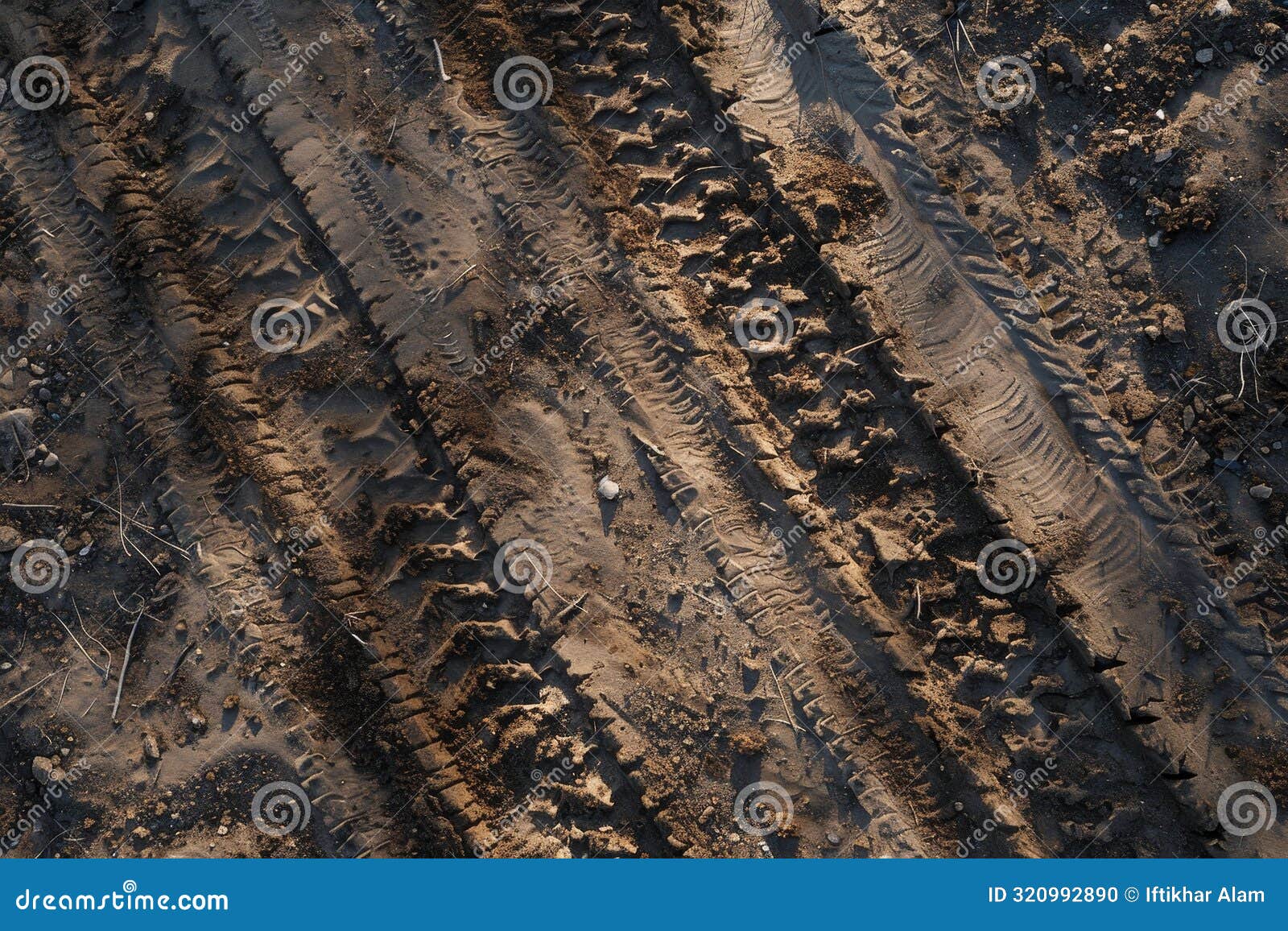 A Detailed View of a Tire Track Left in Compacted Dirt, Showing the ...