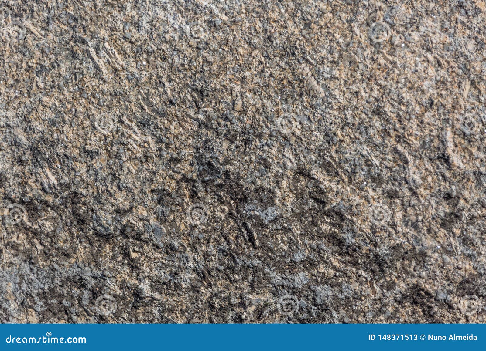 Detailed View of the Typical Texture of the Granite Stone Stock Image ...
