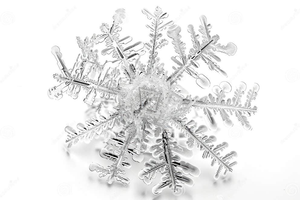 A Detailed View of a Unique Snowflake on a White Background Stock Photo ...
