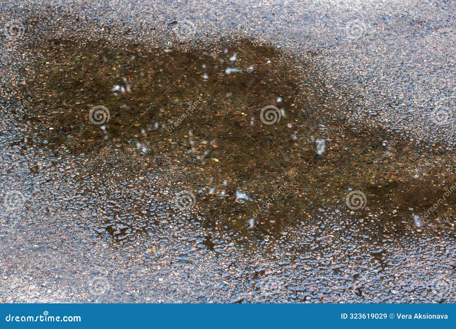 Detailed View of a Water Puddle on the Ground, with Textures and ...