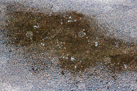 Detailed View of a Water Puddle on the Ground, with Textures and ...