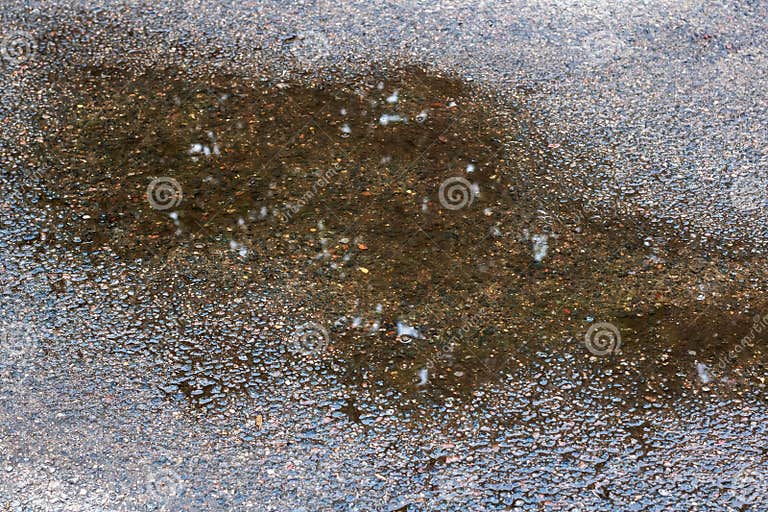 Detailed View of a Water Puddle on the Ground, with Textures and ...