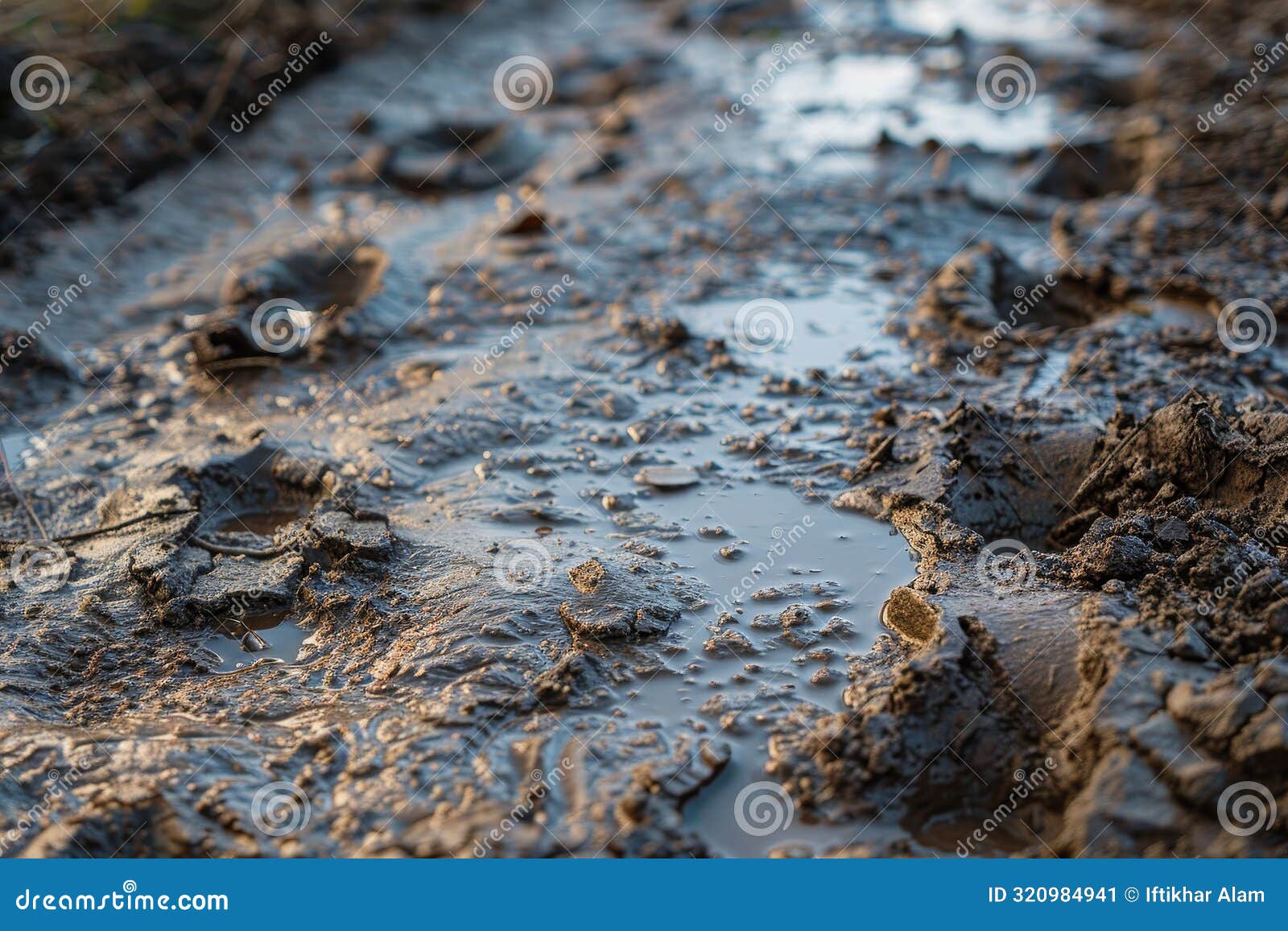 Detailed View of Wet, Clumped Mud with Visible Footprints, Muddy ...