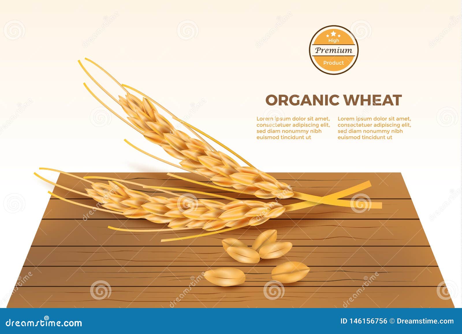 Detailed Wheat Vector on Wooden Table with Infographic Stock Vector ...