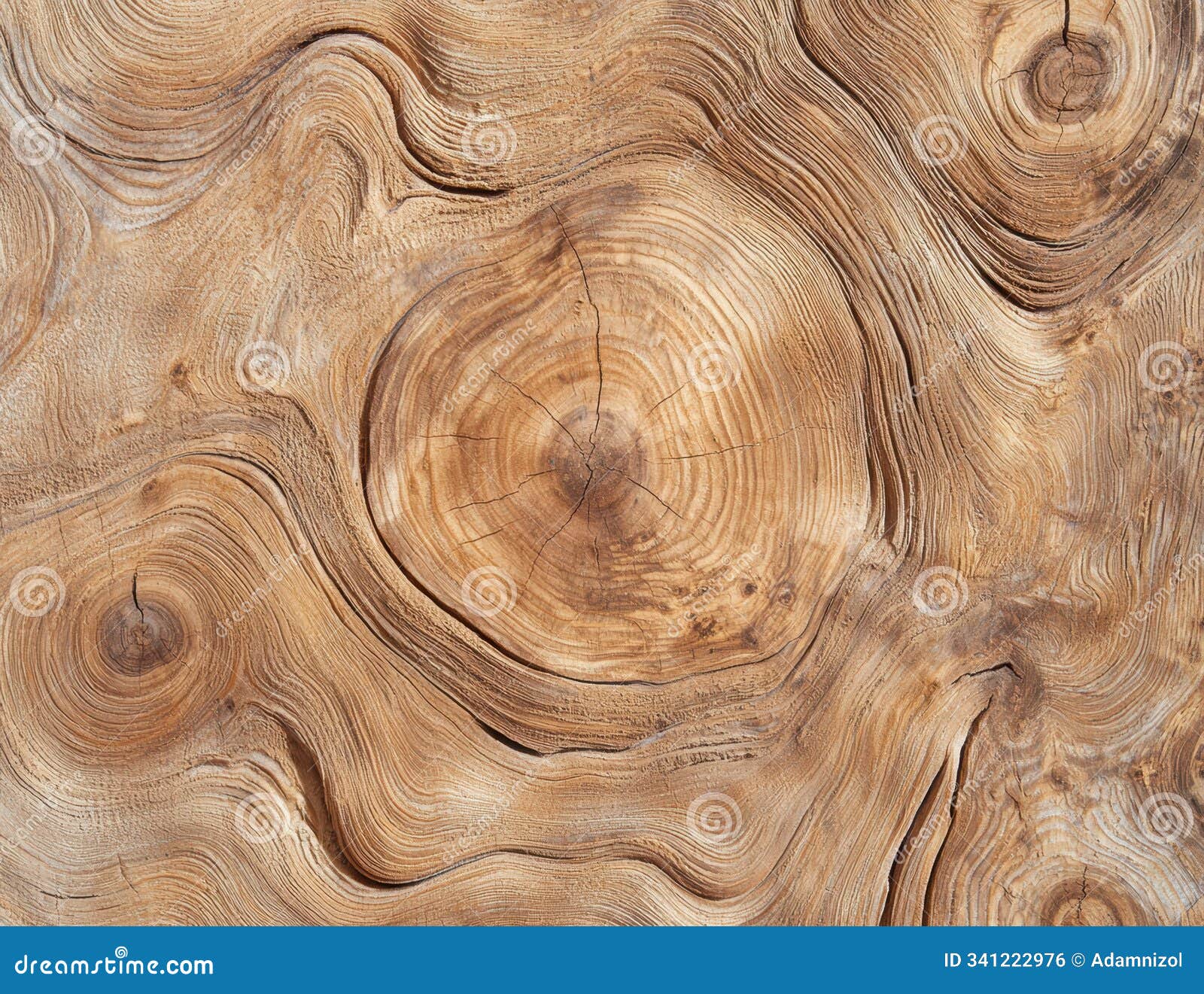 Detailed Wood Grain Texture Pattern Stock Photo | CartoonDealer.com ...