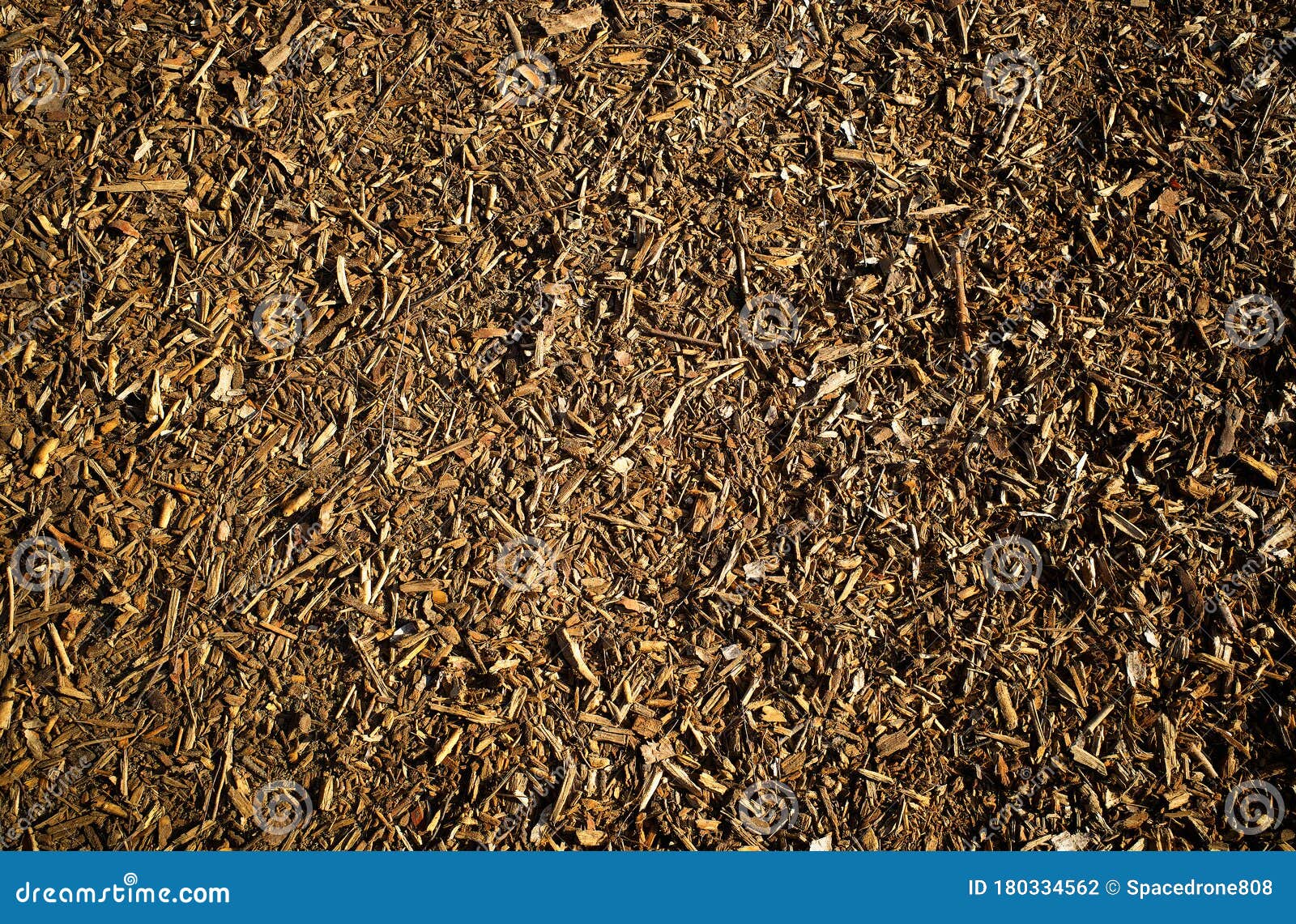 Detailed Wooden Sawdust Texture Background Stock Photo - Image of vivid ...