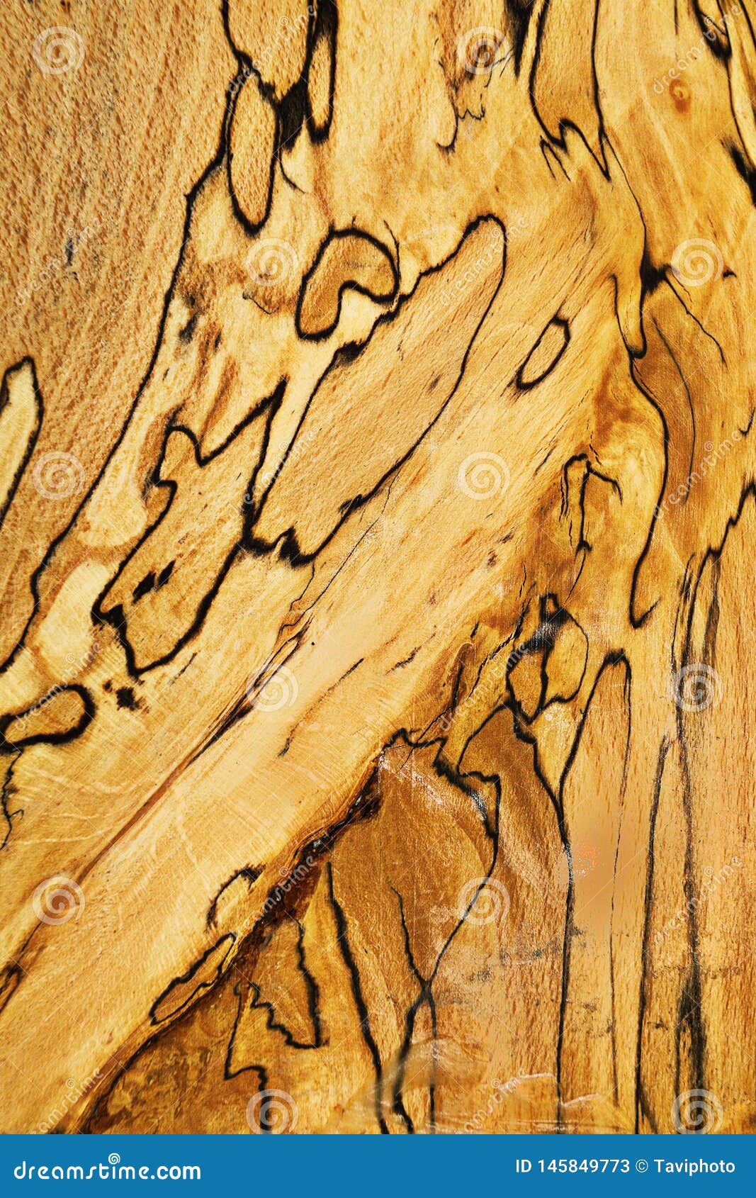 Detailed Wooden Louver Pattern Royalty-Free Stock Photo | CartoonDealer ...