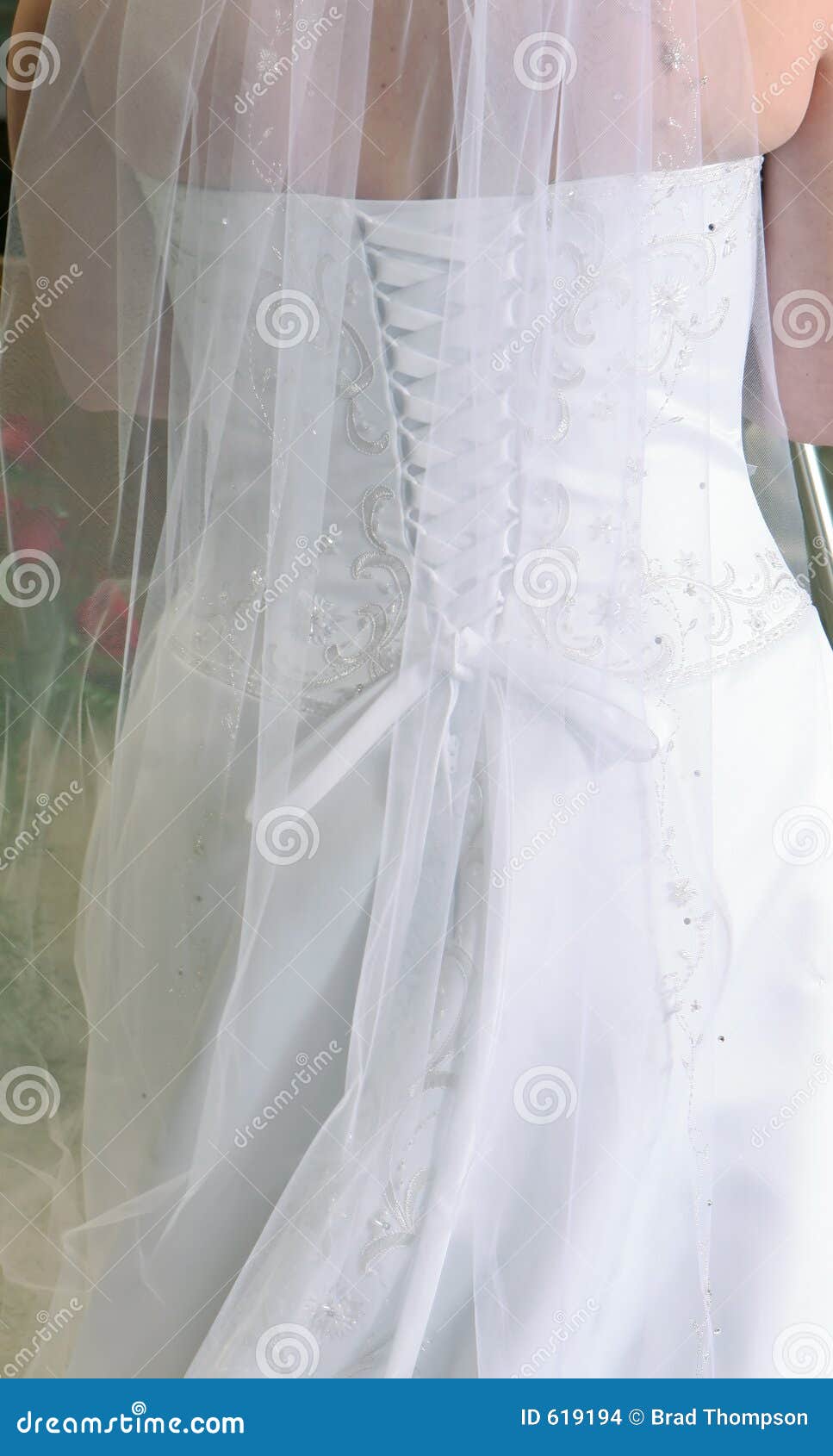 Details of the Back of the Bridal Dress Stock Photo - Image of gown ...