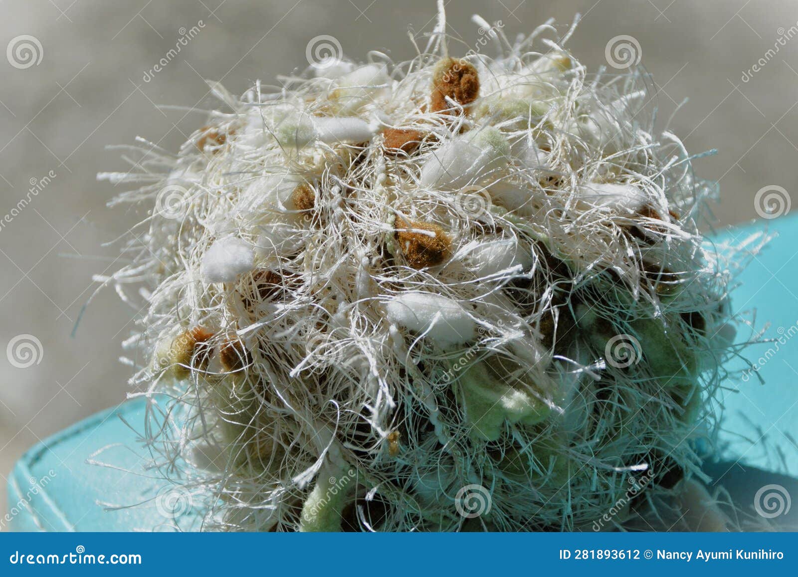 Details of a Beautiful Ball of Yarn in the Sun Stock Photo - Image of ...