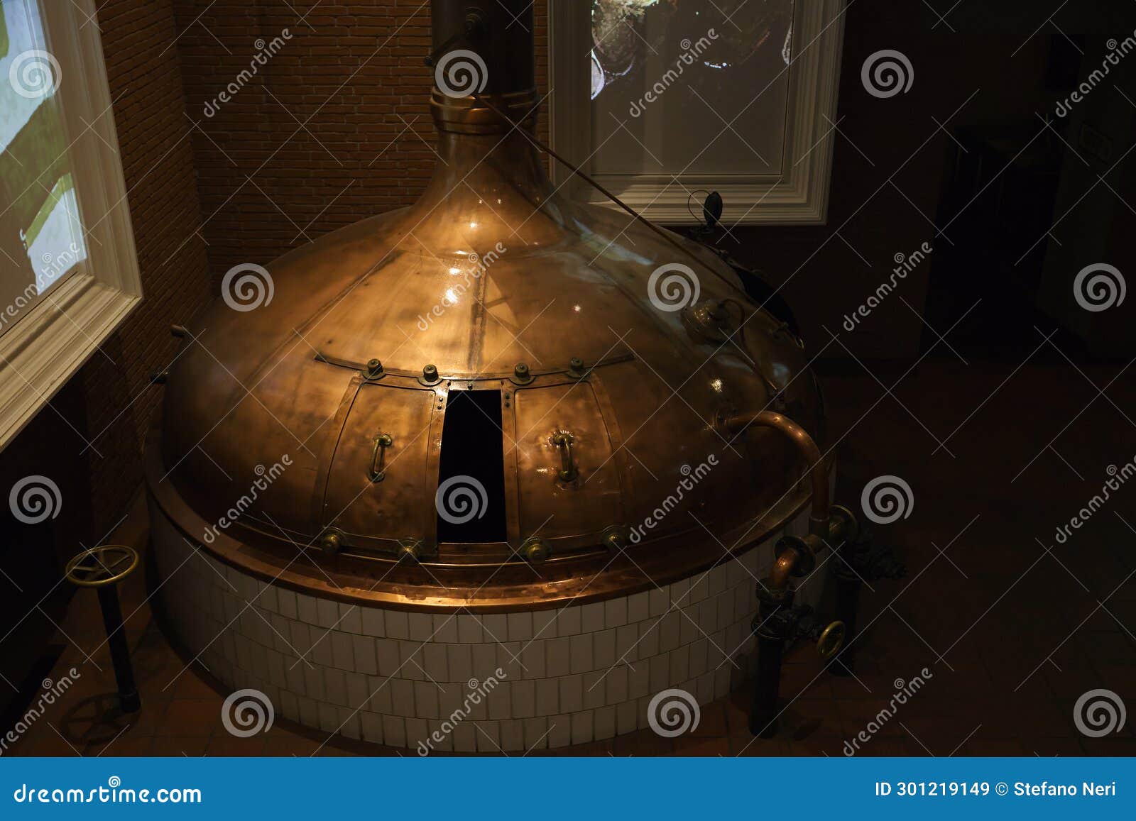 Wheat Distiller Pellets Royalty-Free Stock Image | CartoonDealer.com #18919270