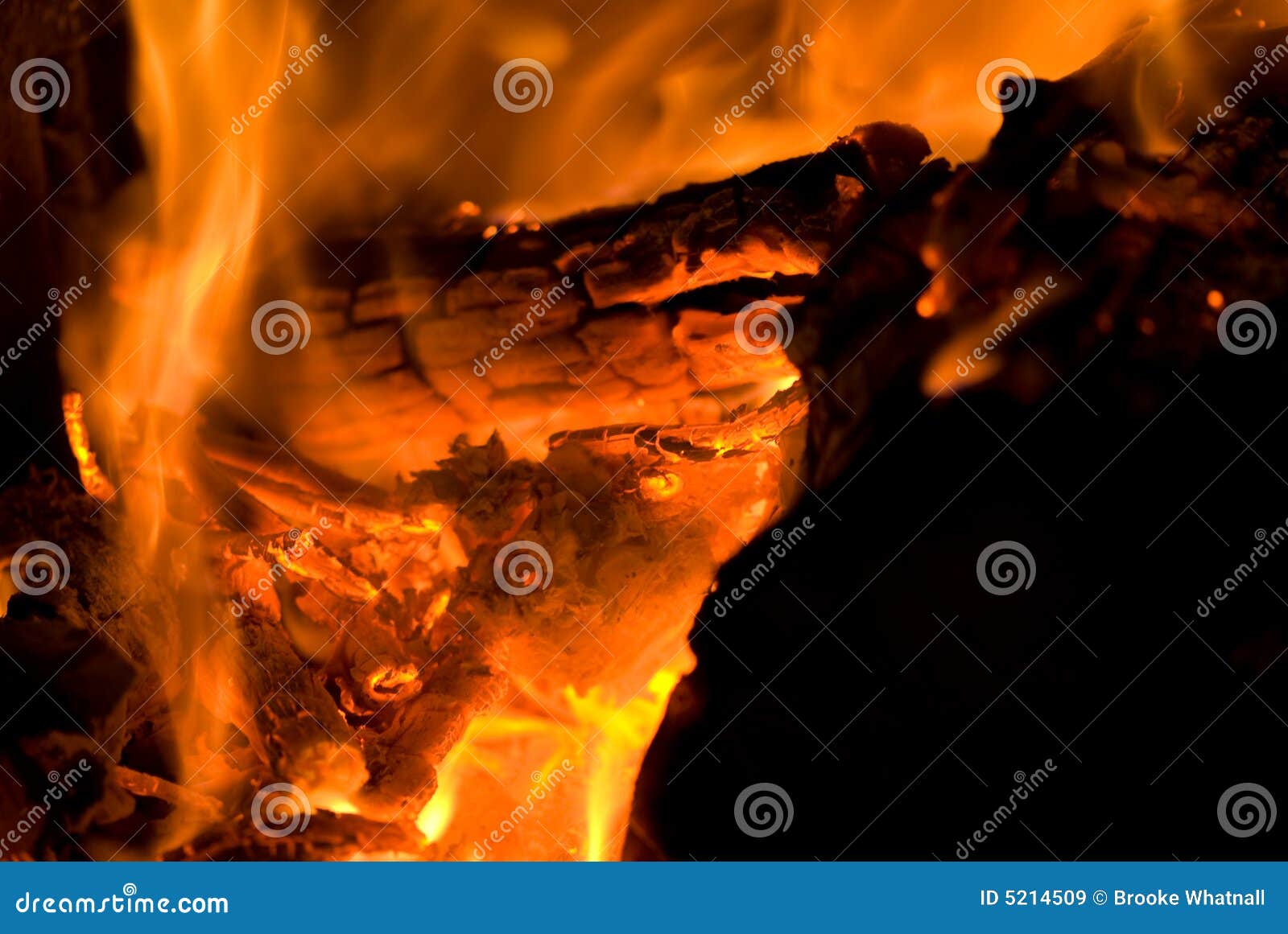Details of burning fire stock image. Image of campfire - 5214509