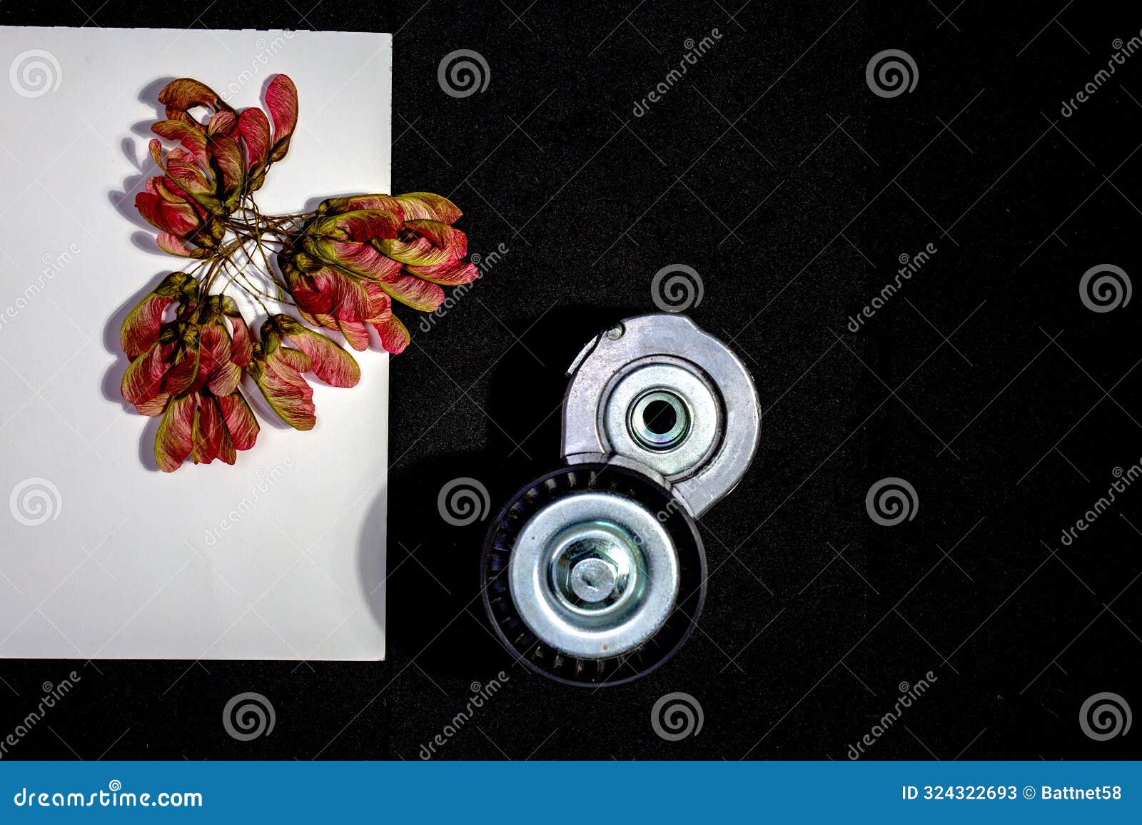 Details and Components of the Front Suspension of the Car, the Design ...