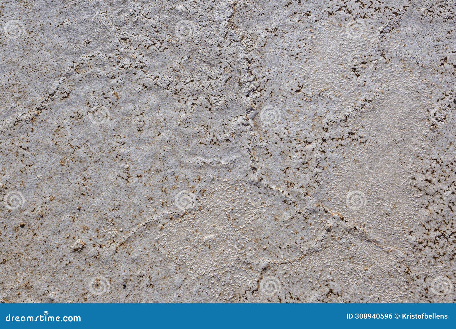 Details of the Crystallization Process of Salt As Water Evaporates from ...
