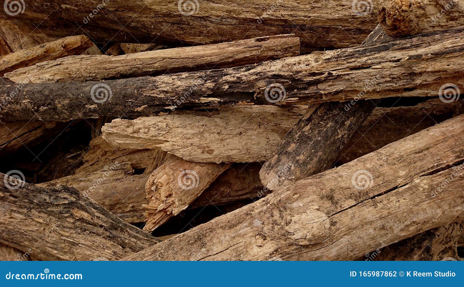 Details of Decayed Logs, Brown Background Stock Photo - Image of fallen ...