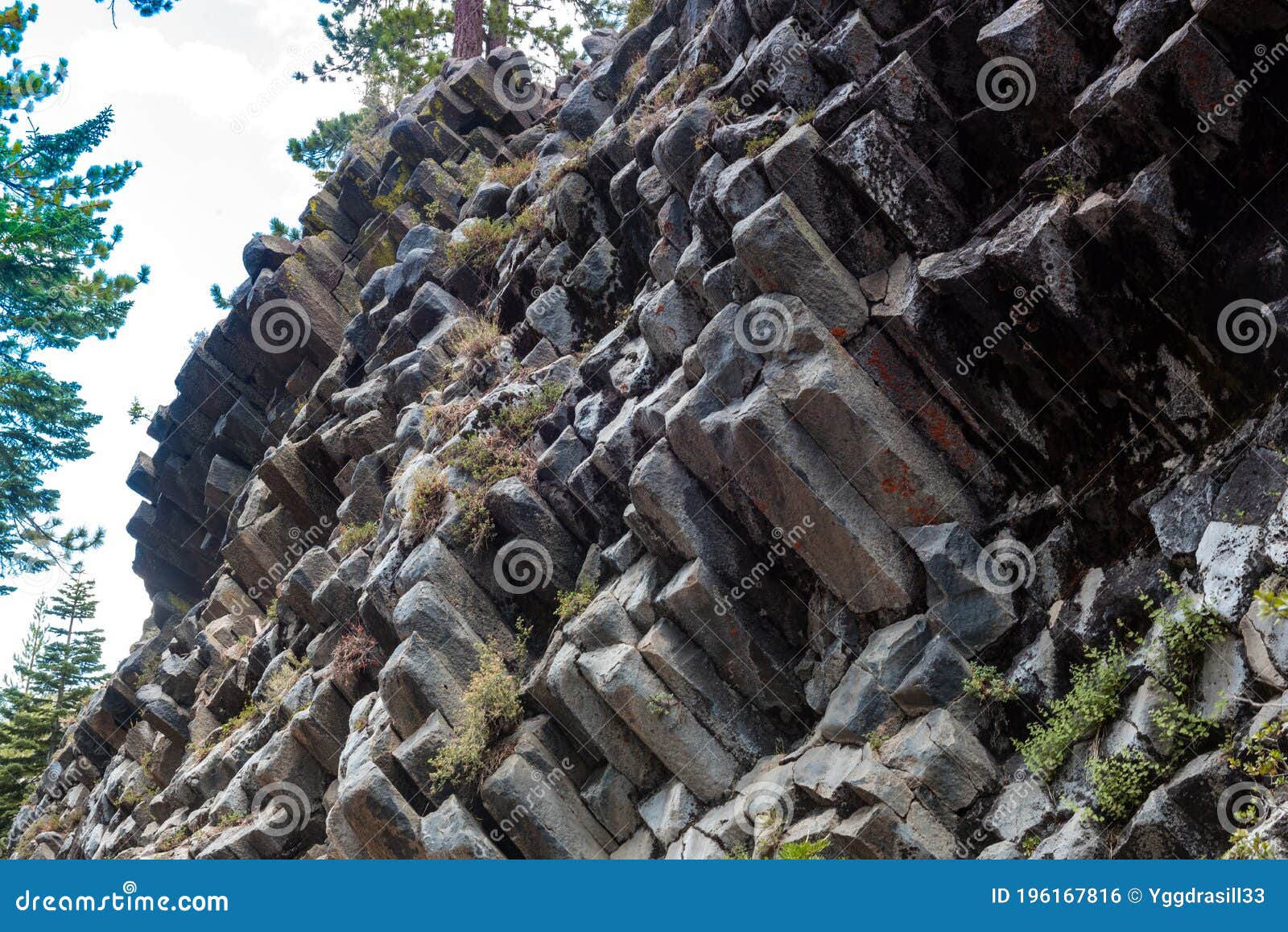 Details of Devil`s Postpile Basaltic Organ Stock Photo - Image of ...