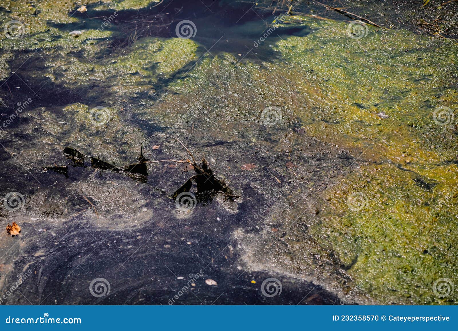 Details with Dirty Polluted Water in a Flowing Stream Stock Photo ...