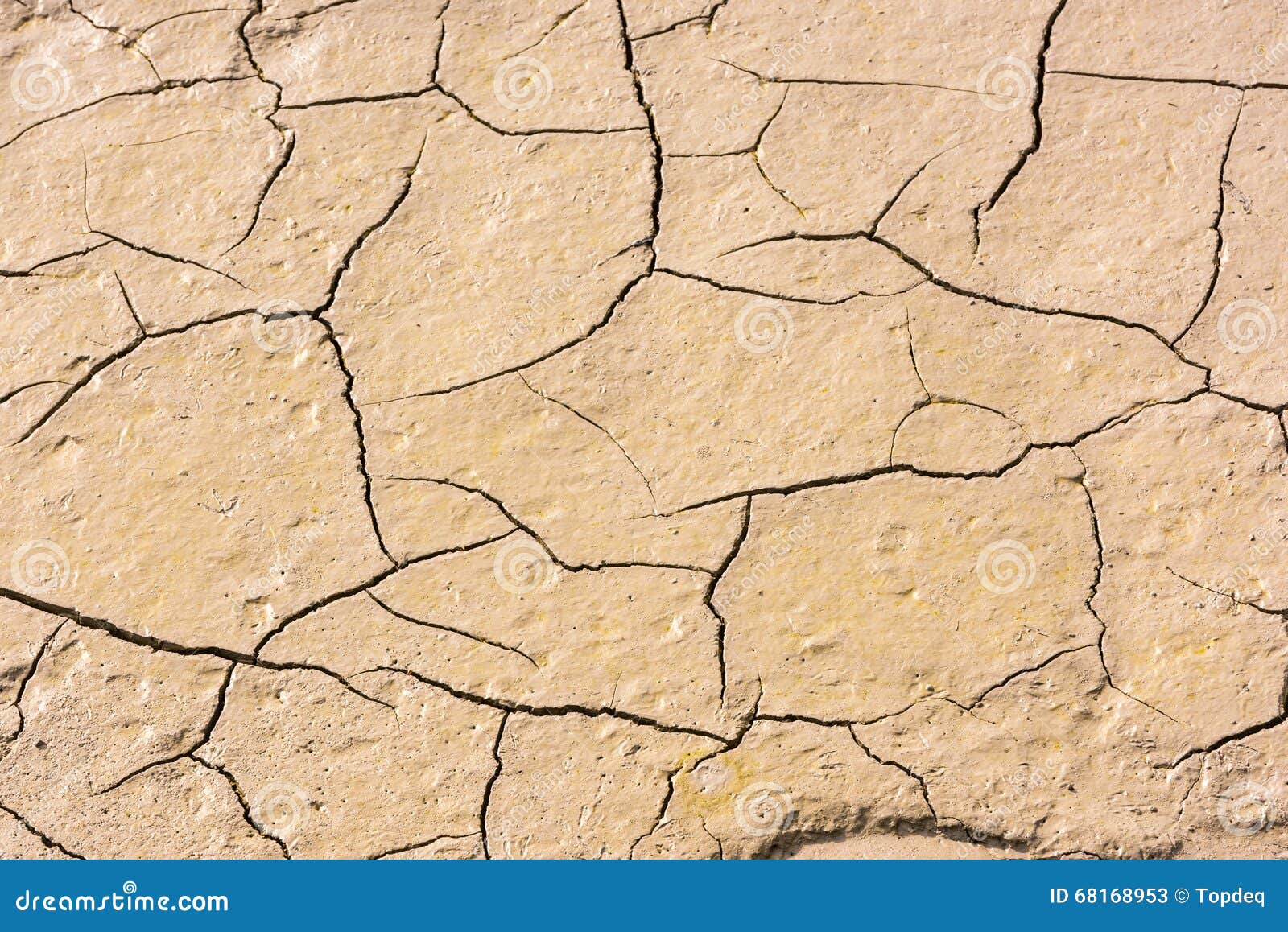 Details of a Dried Cracked Seabed Stock Image - Image of clay, closeup ...