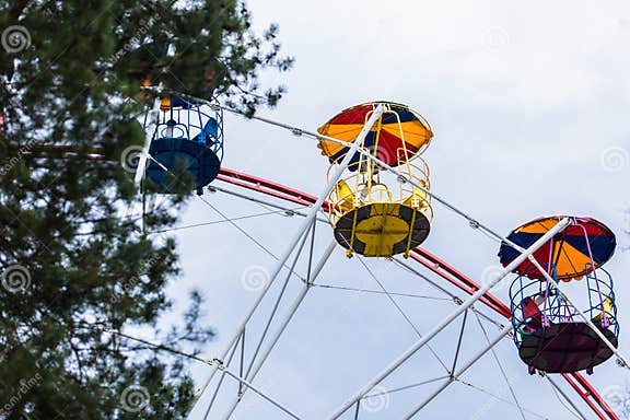 Details of Ferris Wheel with Tree in Front Stock Image - Image of ...