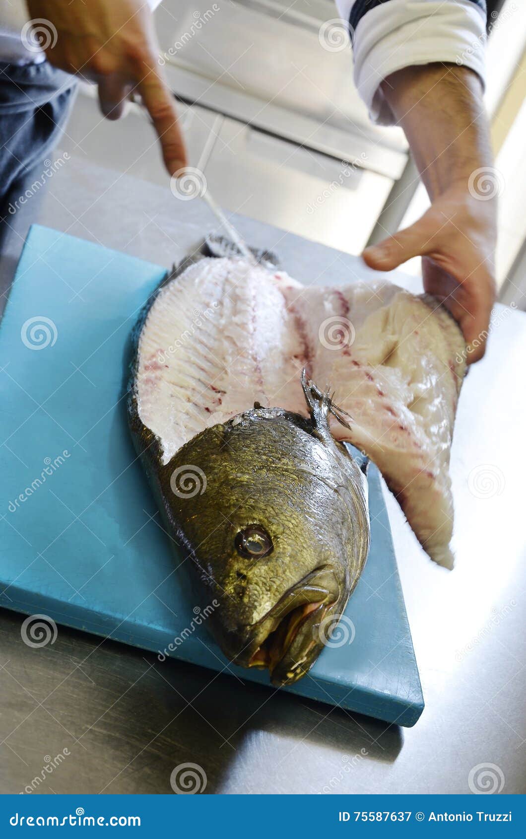 Details Filleting Fish on a Cutting Board Stock Image - Image of ...